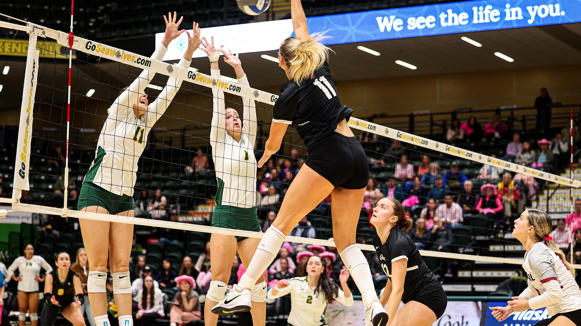 Seawolves set for 17 home dates in 2025 | University of Alaska Anchorage