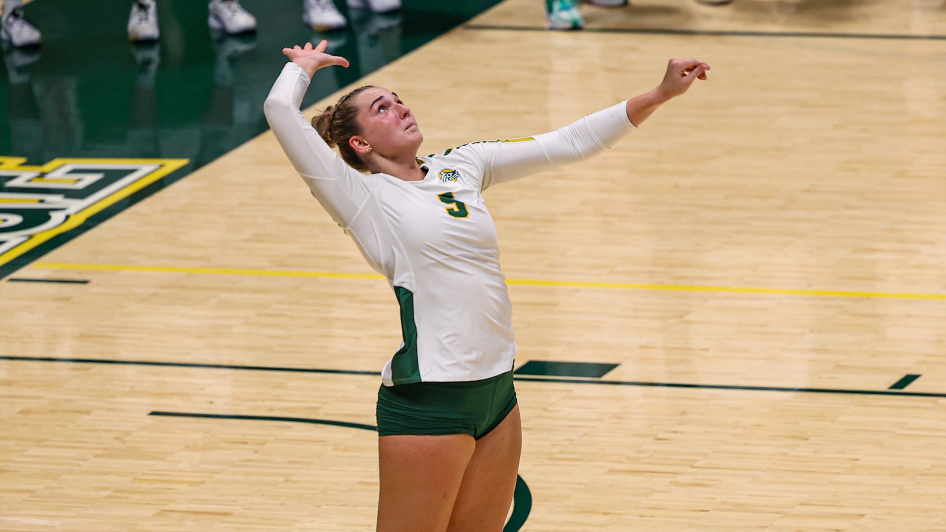 Seawolves set for 17 home dates in 2025 | University of Alaska Anchorage