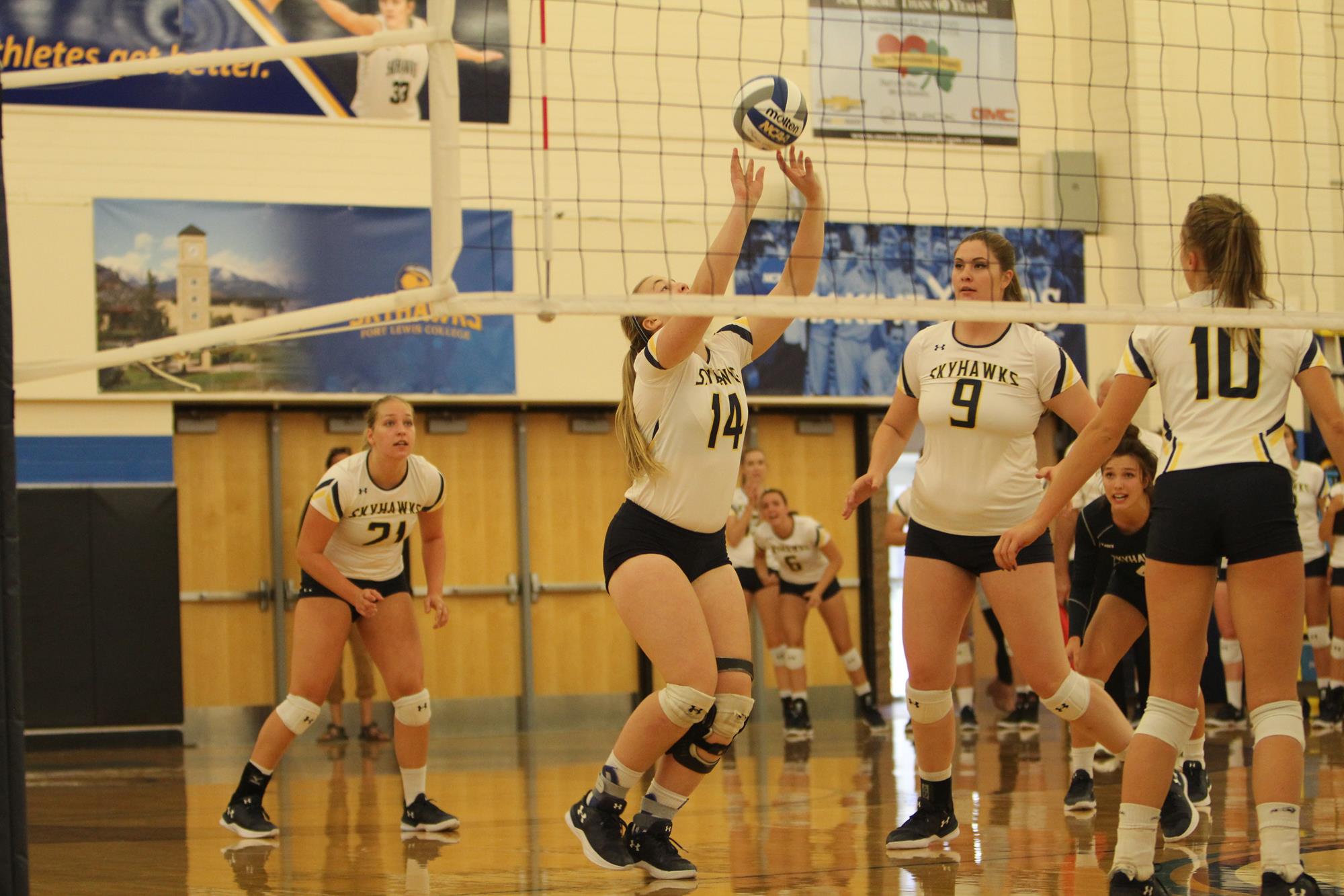 Katherine Potter - Women's Volleyball - Fort Lewis College Athletics