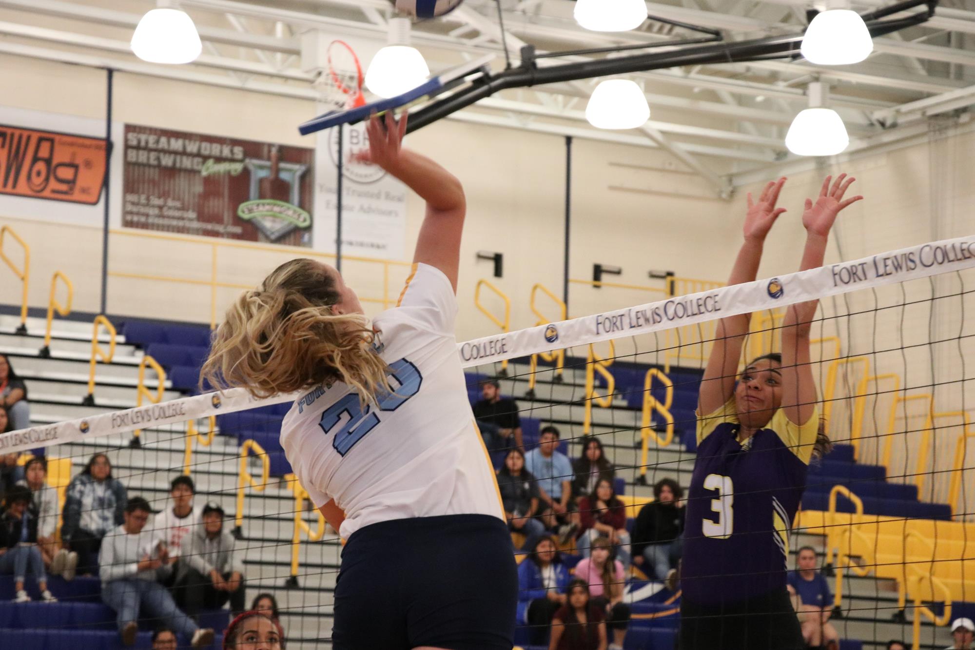 Alexa Treguboff - Women's Volleyball - Fort Lewis College Athletics