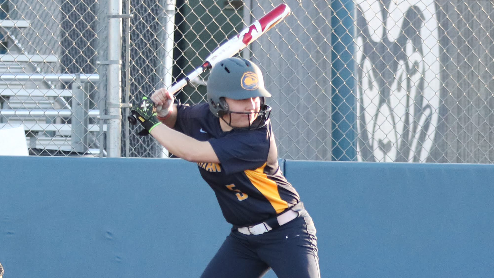 Taylor Hollestelle - Softball - Fort Lewis College Athletics
