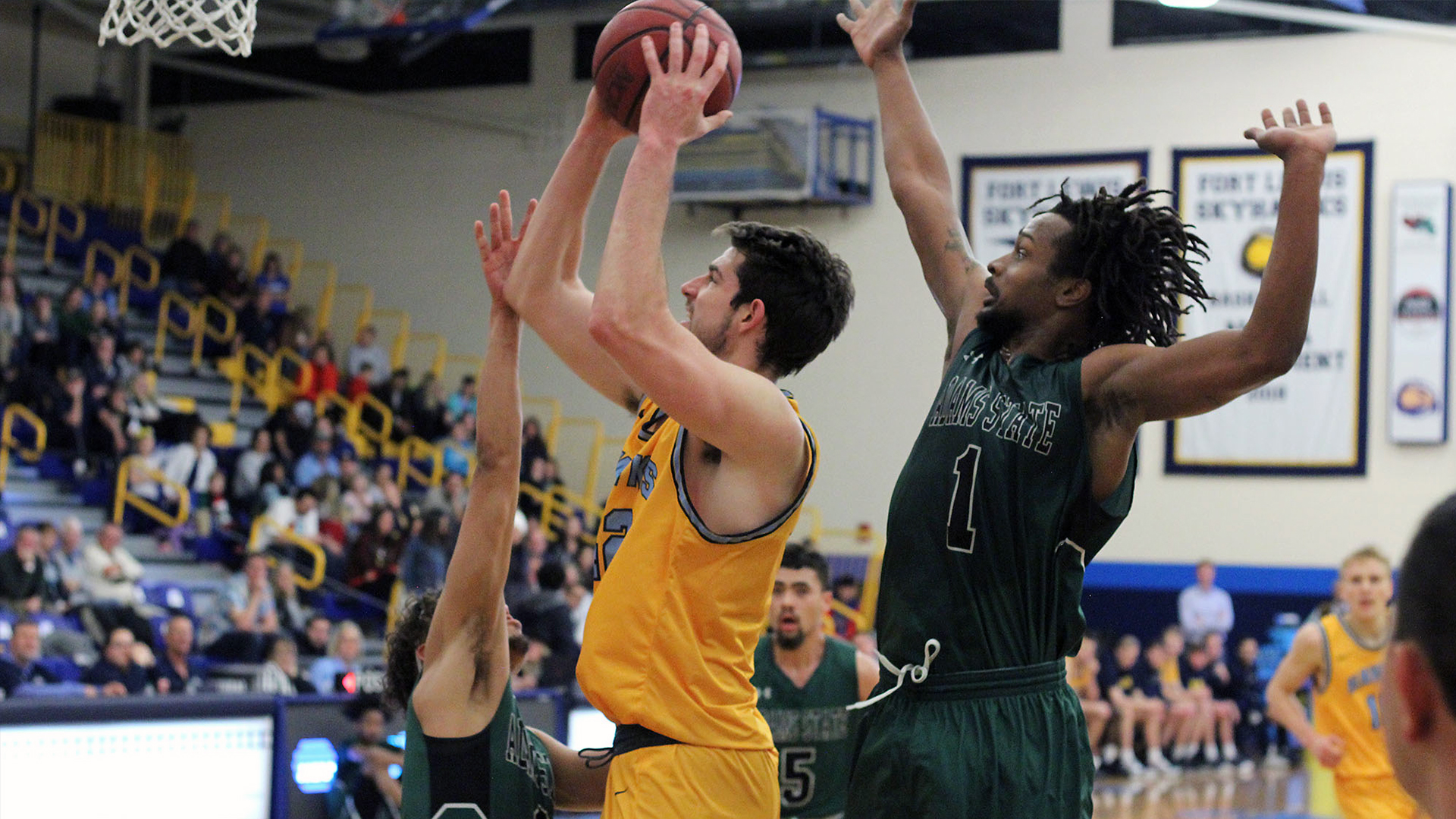 Riley Farris - Men's Basketball - Fort Lewis College Athletics
