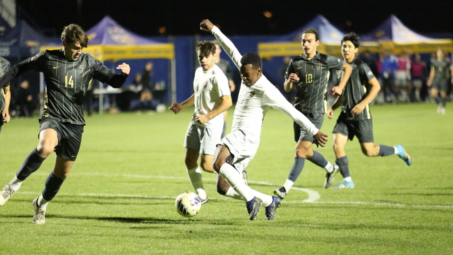 No. 12 Skyhawks post 4-0 shutout, roll past Mountain Lions into RMAC ...