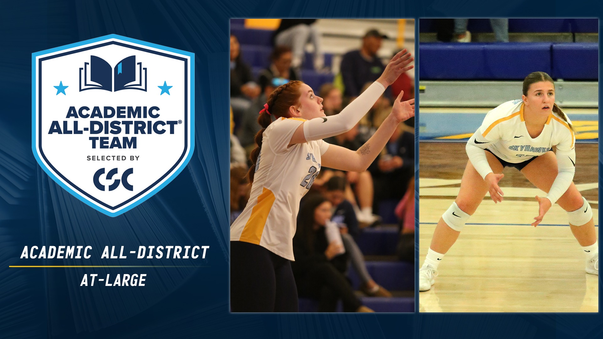 Skyhawks volleyball has four named to the RMAC All-Academic list - Fort ...