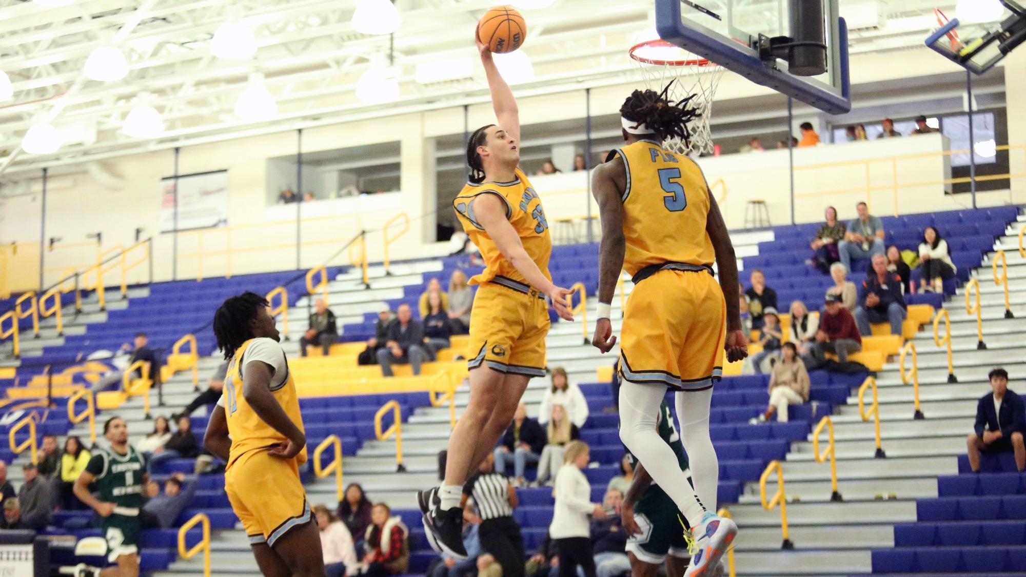 Brayden Carter - Men's Basketball - Fort Lewis College Athletics
