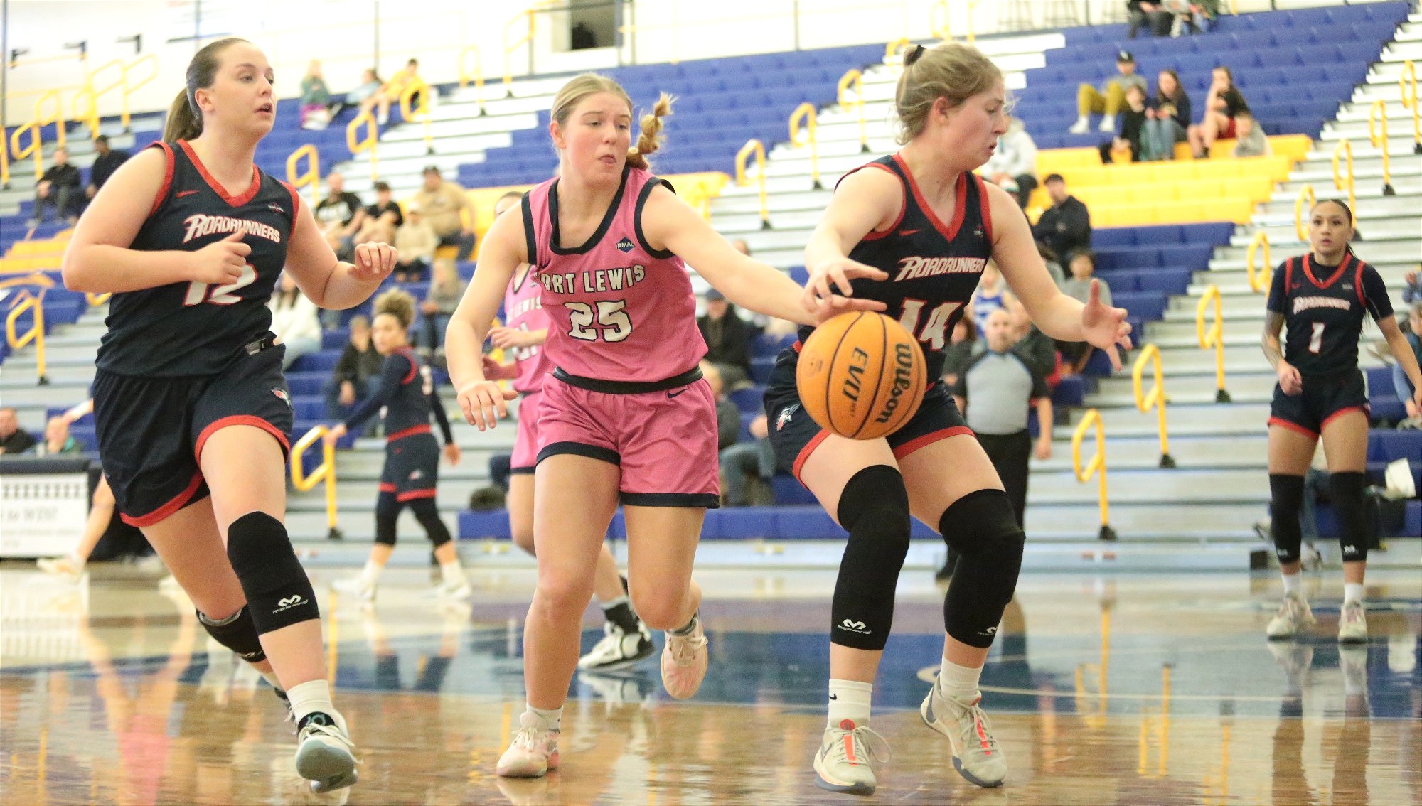 Trista Hoobler - Women's Basketball - Fort Lewis College Athletics