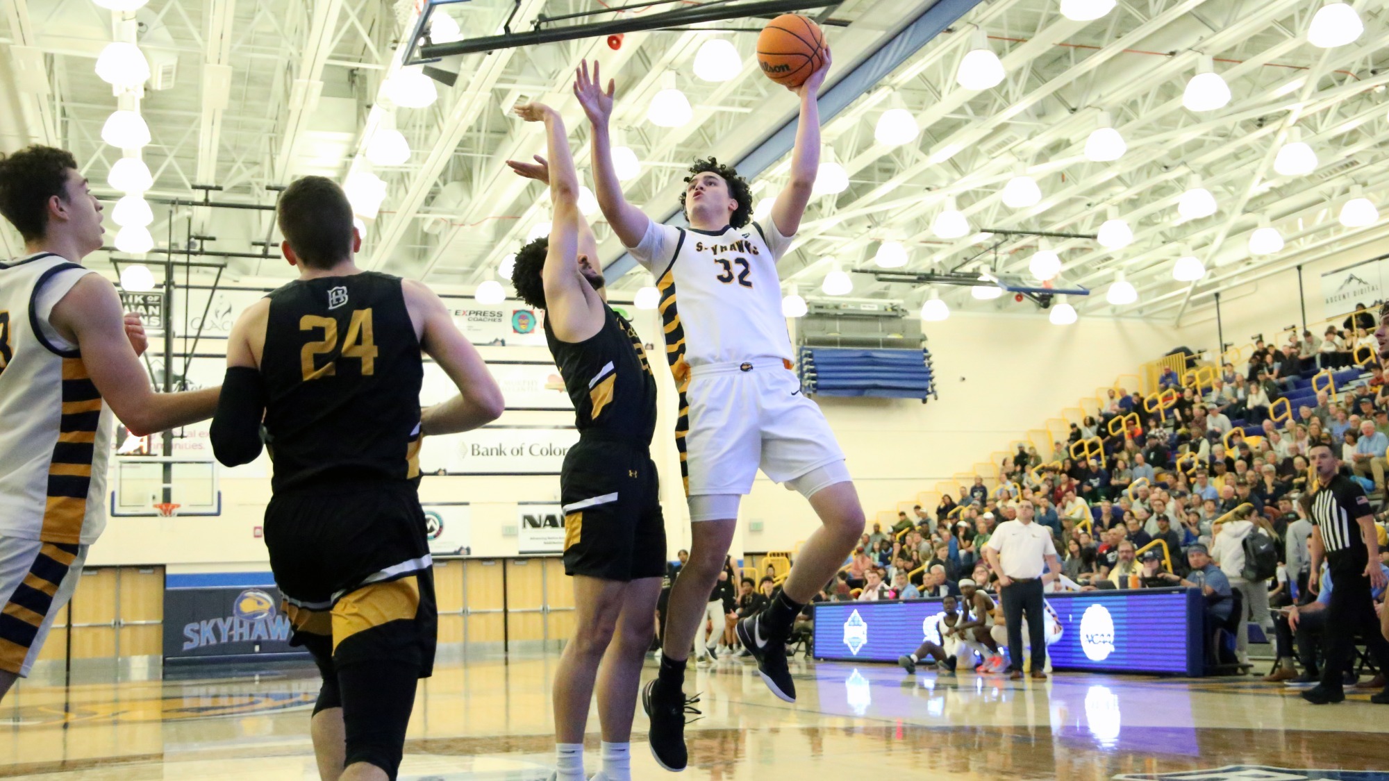 Brayden Carter - Men's Basketball - Fort Lewis College Athletics