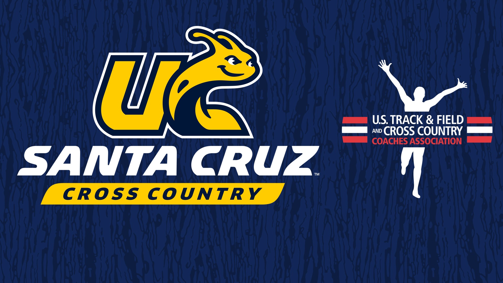 Record ten Banana Slugs earn National All-Academic honors - University ...