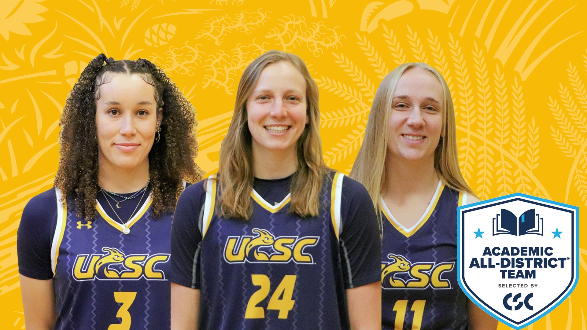Anderson, Hammons, and Inserra named CSC Academic All-District ...