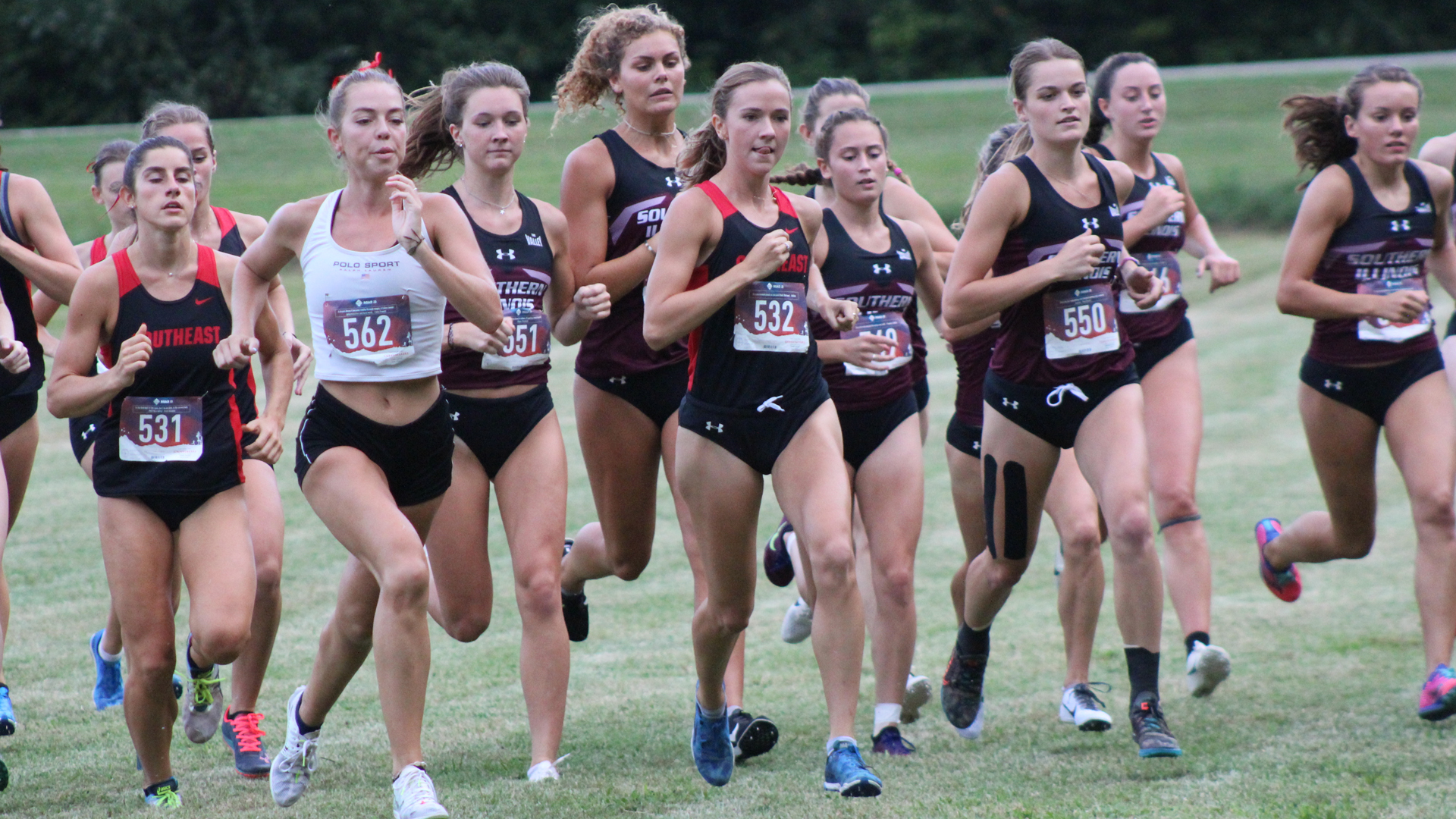 Carli Knott - Cross Country - Southeast Missouri State University Athletics