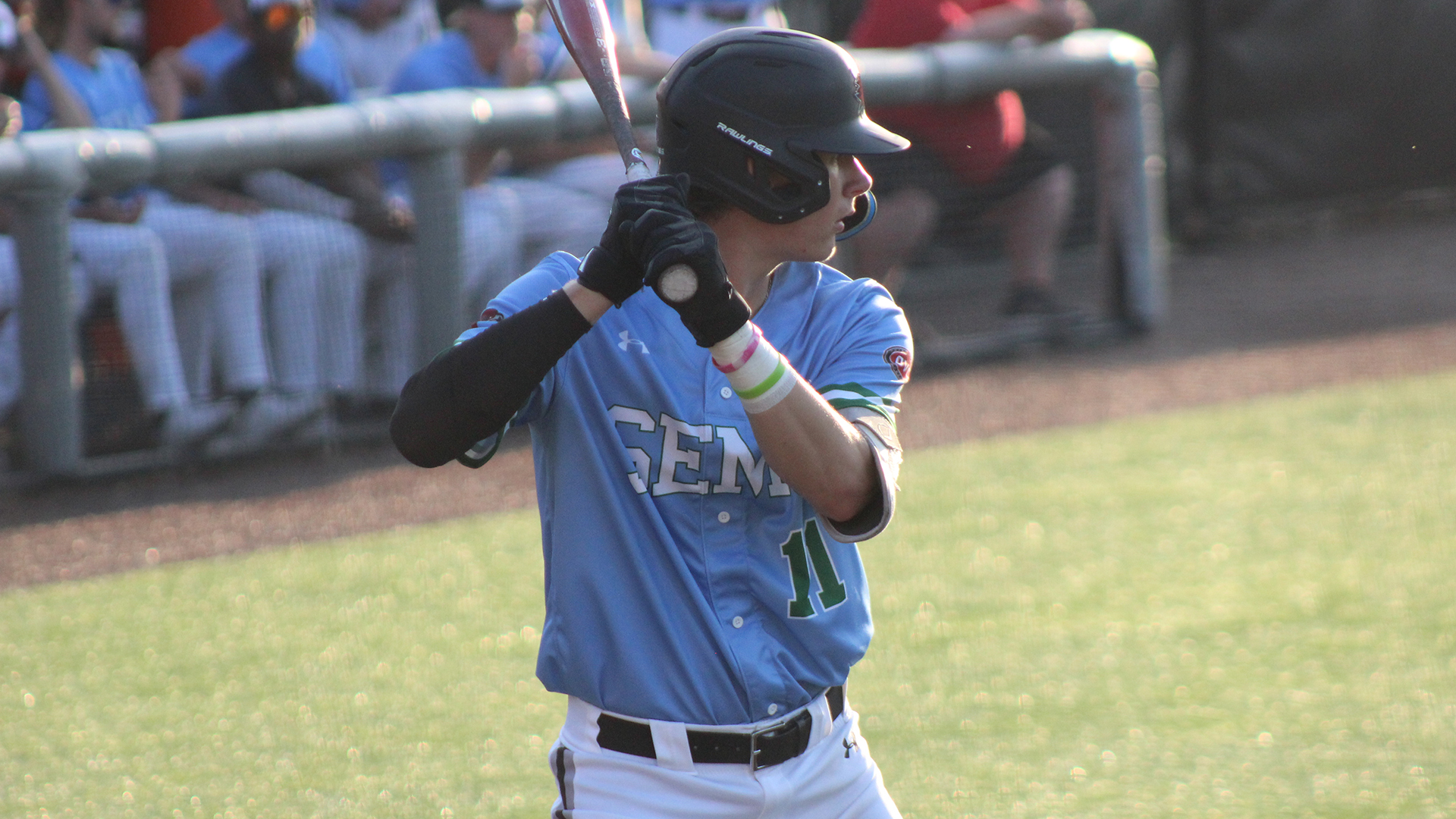 Ben Palmer - Baseball - Southeast Missouri State University Athletics