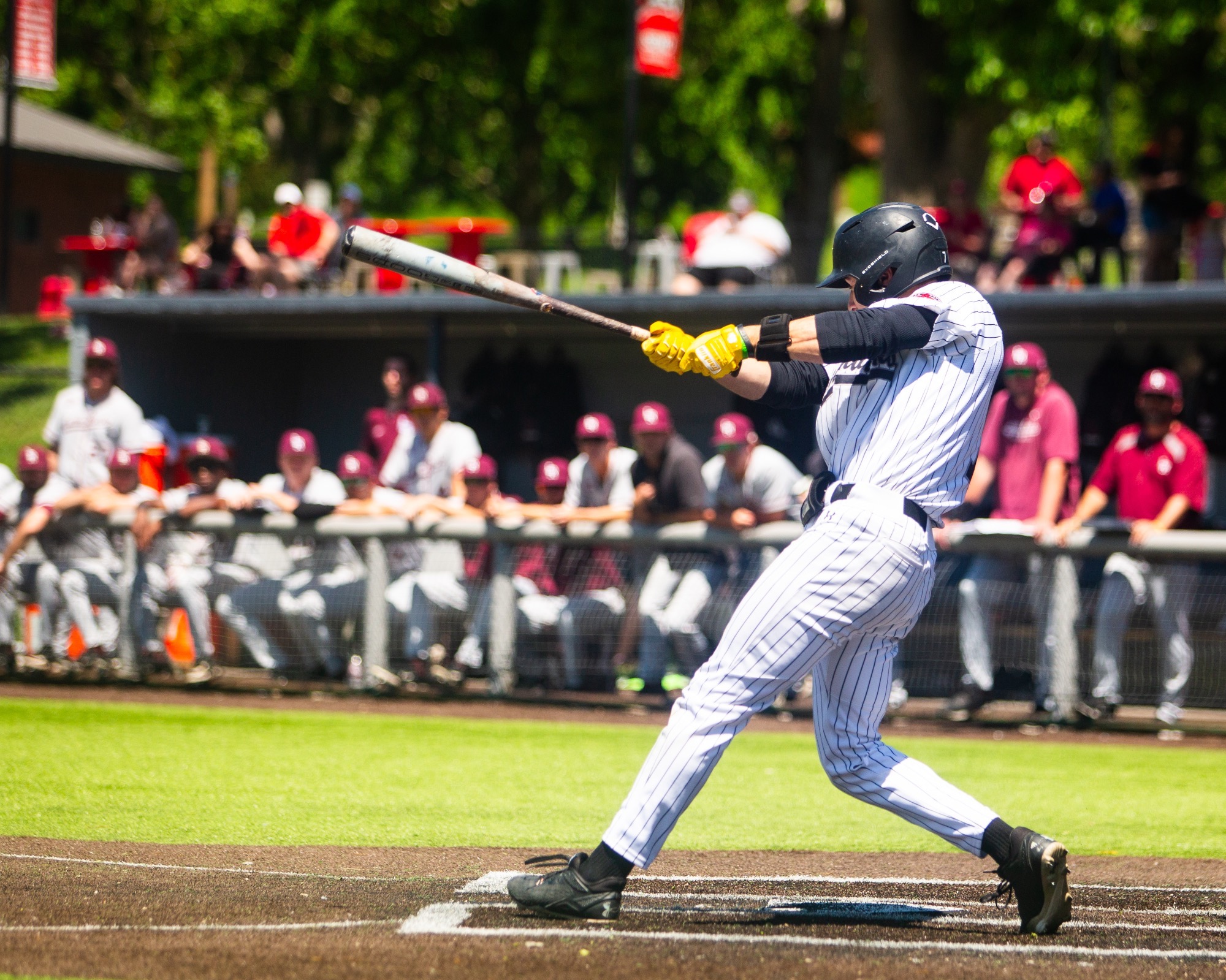 SEMO Baseball Announces 2025 Schedule - Southeast Missouri State ...