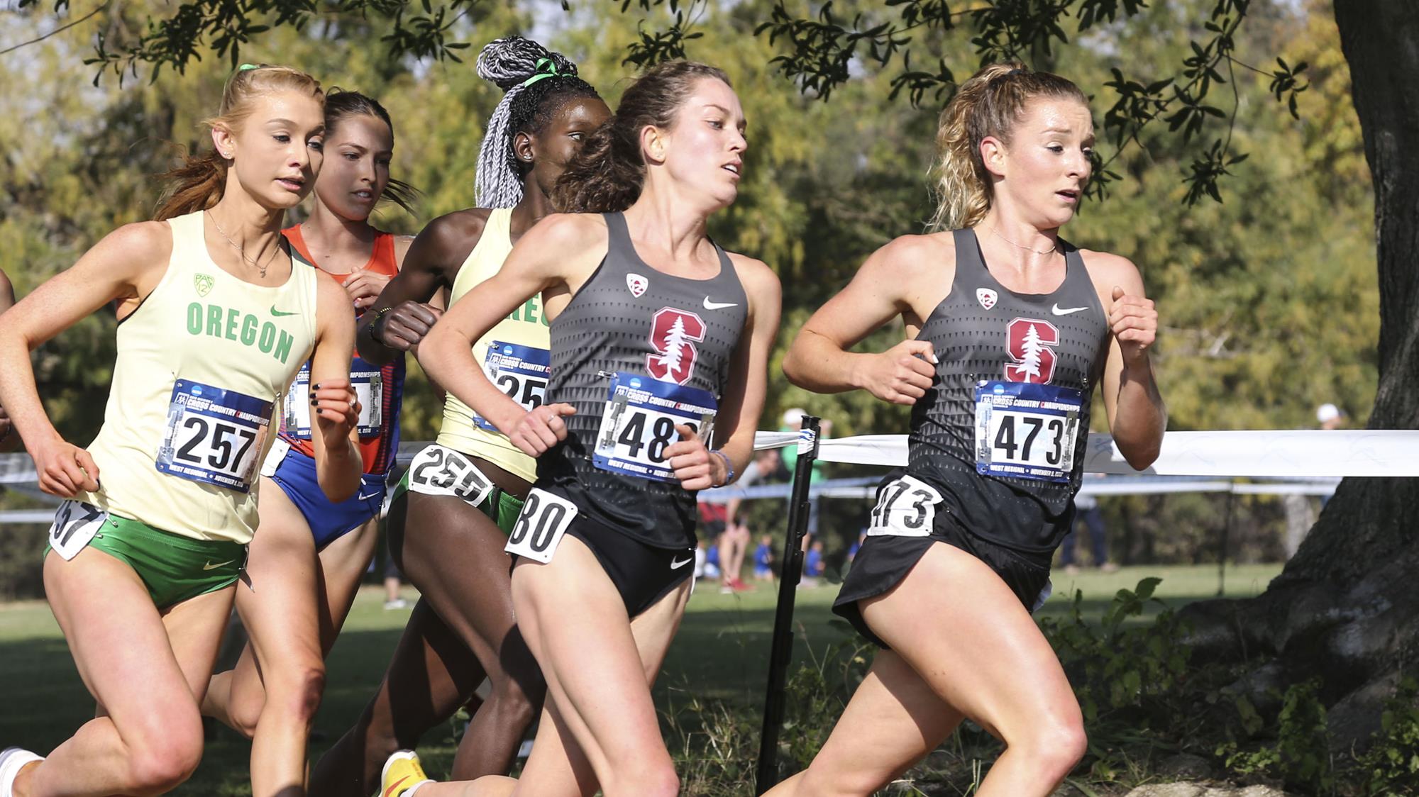 Famous Girl Cross Country Runners