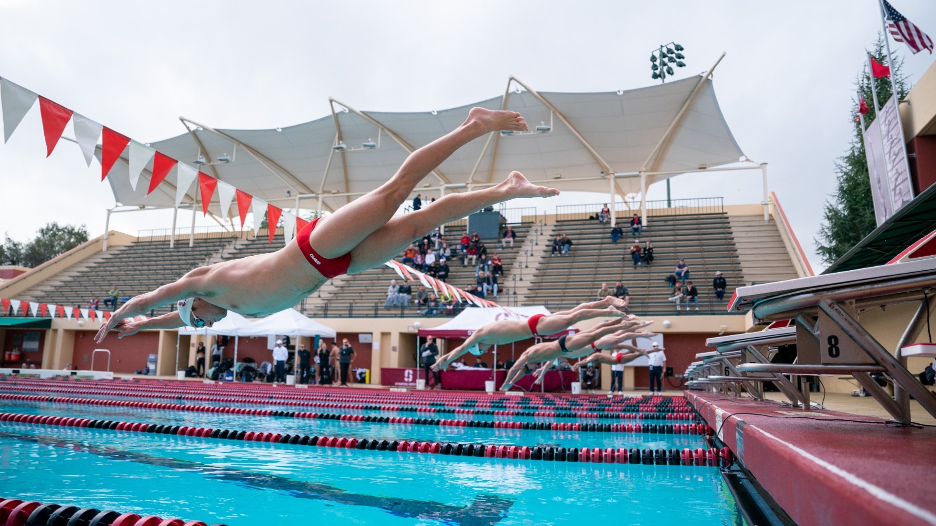 William Tarvestad - Men's Swimming & Diving - Stanford University Athletics