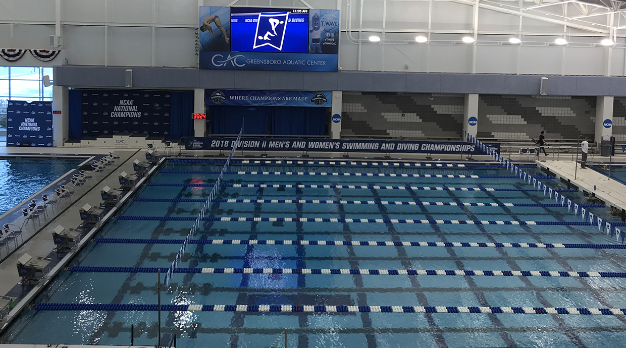 Set for NCAA Championships - Delta State University Athletics