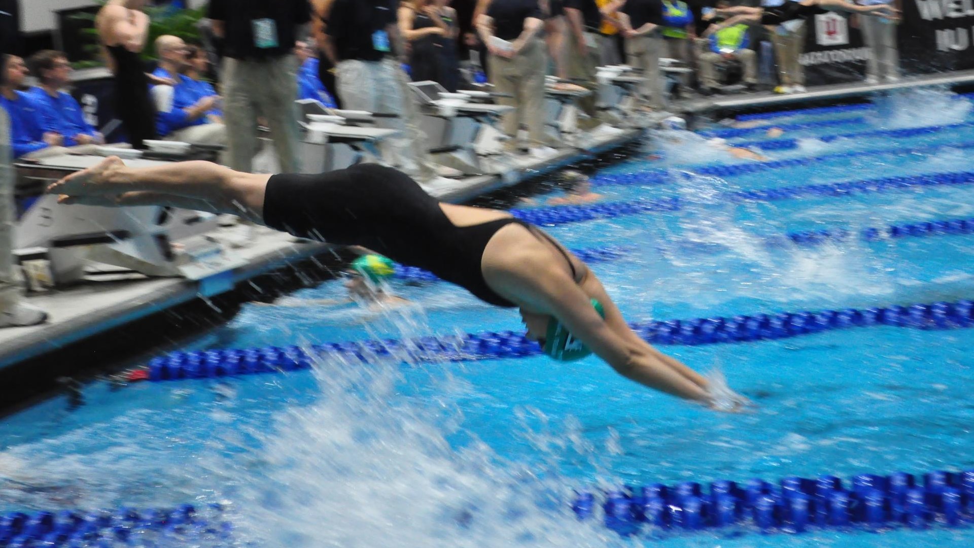 Lucia Martelli - Women's Swimming & Diving - Delta State University ...