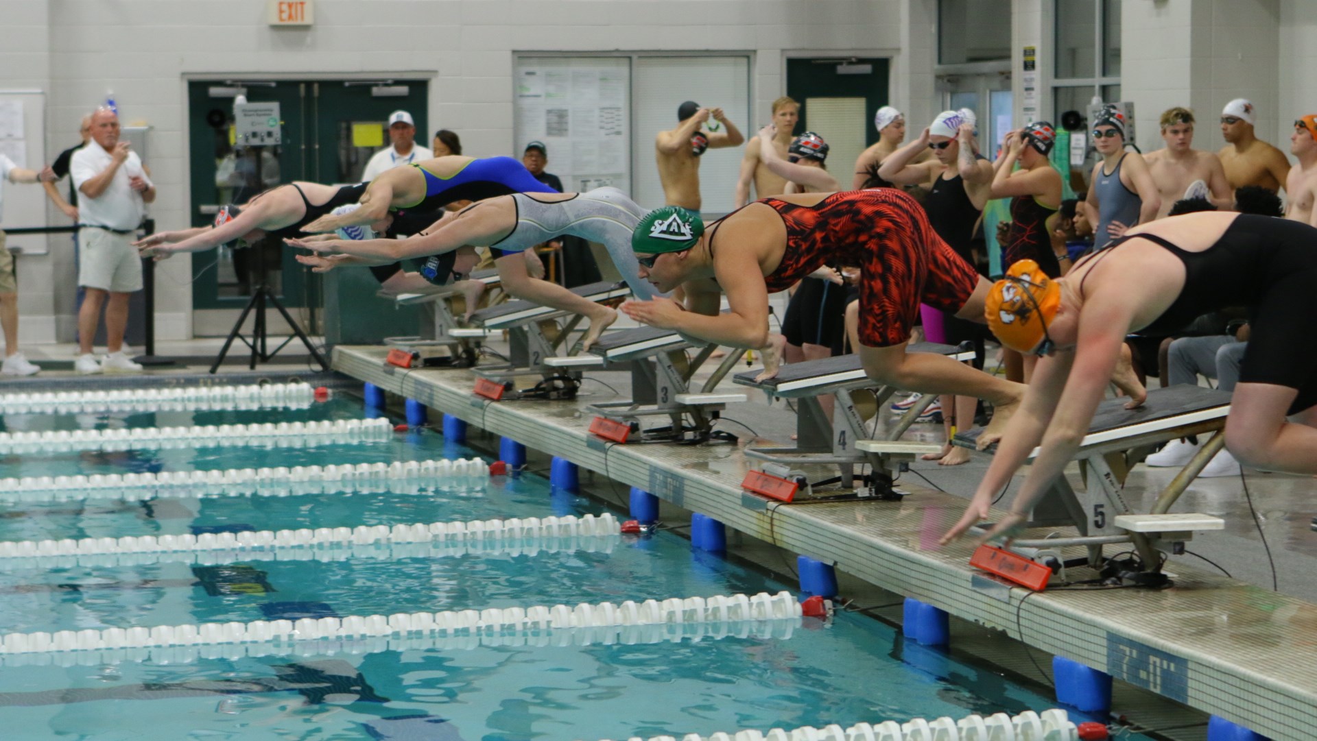 Lucia Martelli - Women's Swimming & Diving - Delta State University ...
