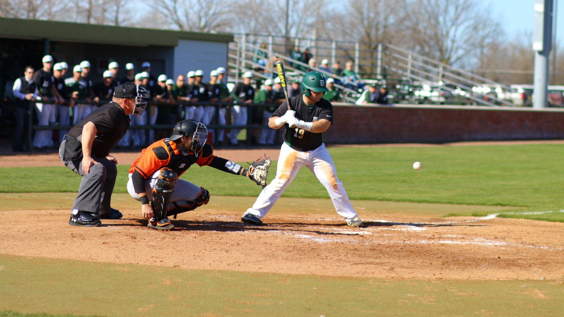 CJ Estave - Baseball - Delta State University Athletics