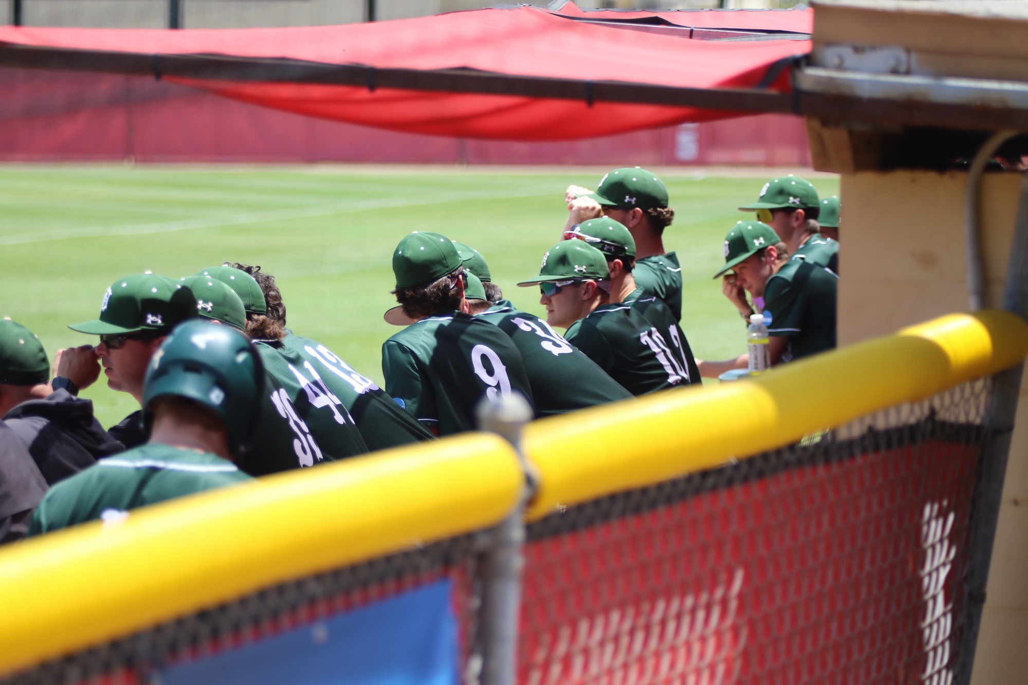 How To Watch: NCAA Division II Baseball Regional Selection Show - Delta ...