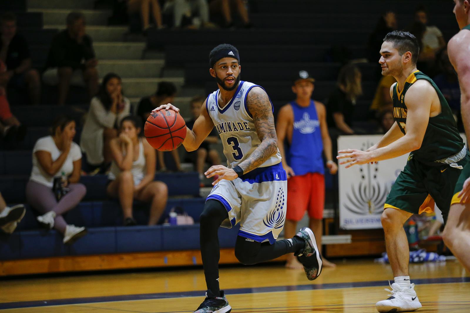 Nicholas Anderson - 2018-19 - Men's Basketball - Chaminade University ...