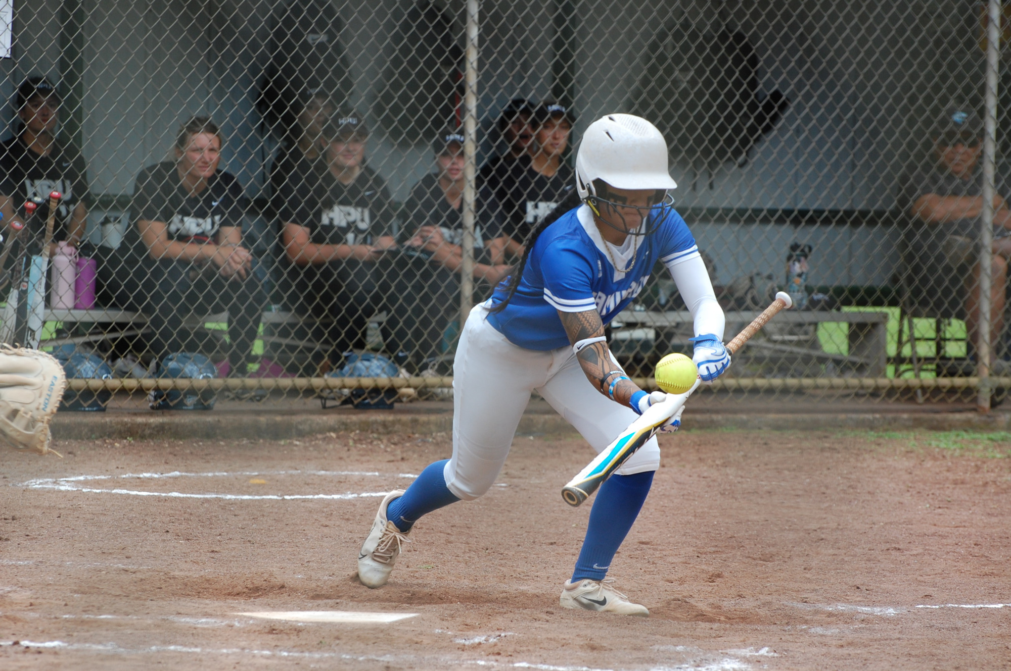 Kailah Gates-Coyaso - 2024 - Softball - Chaminade University Athletics