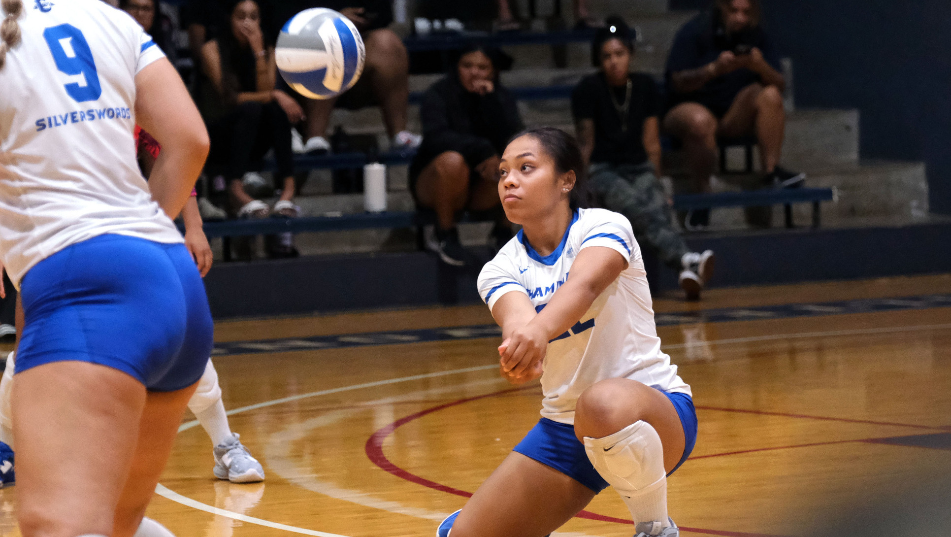 Kanoelehua Misipeka - 2023 - Women's Volleyball - Chaminade University ...