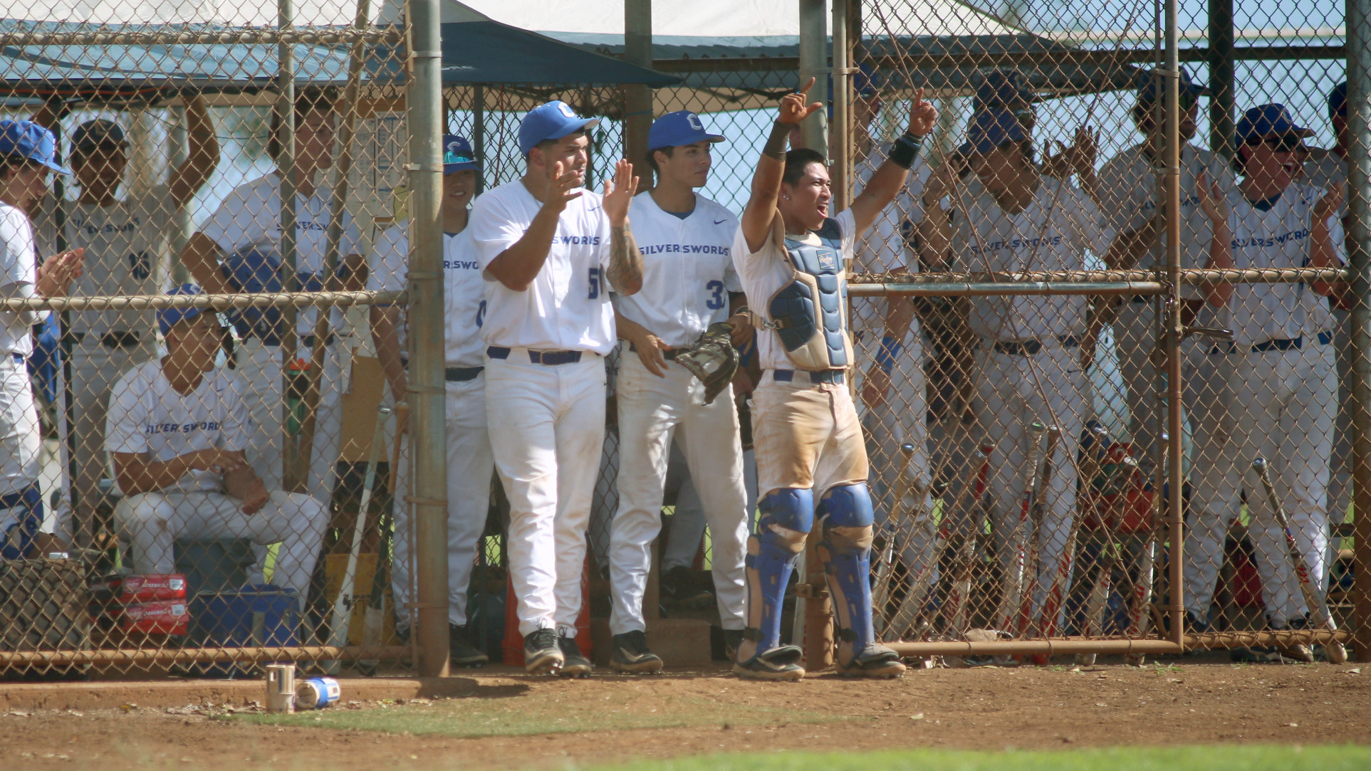 Baseball Fan Info for Monday’s Game at UH Manoa - Chaminade University ...