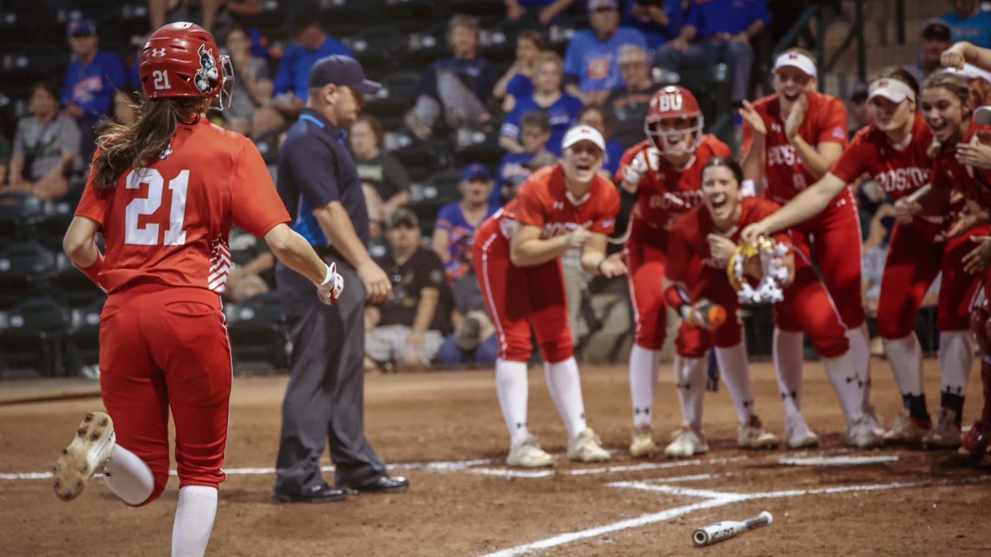 Softball Run-Rules South Florida, Falls to No. 4 Florida in DH Split ...
