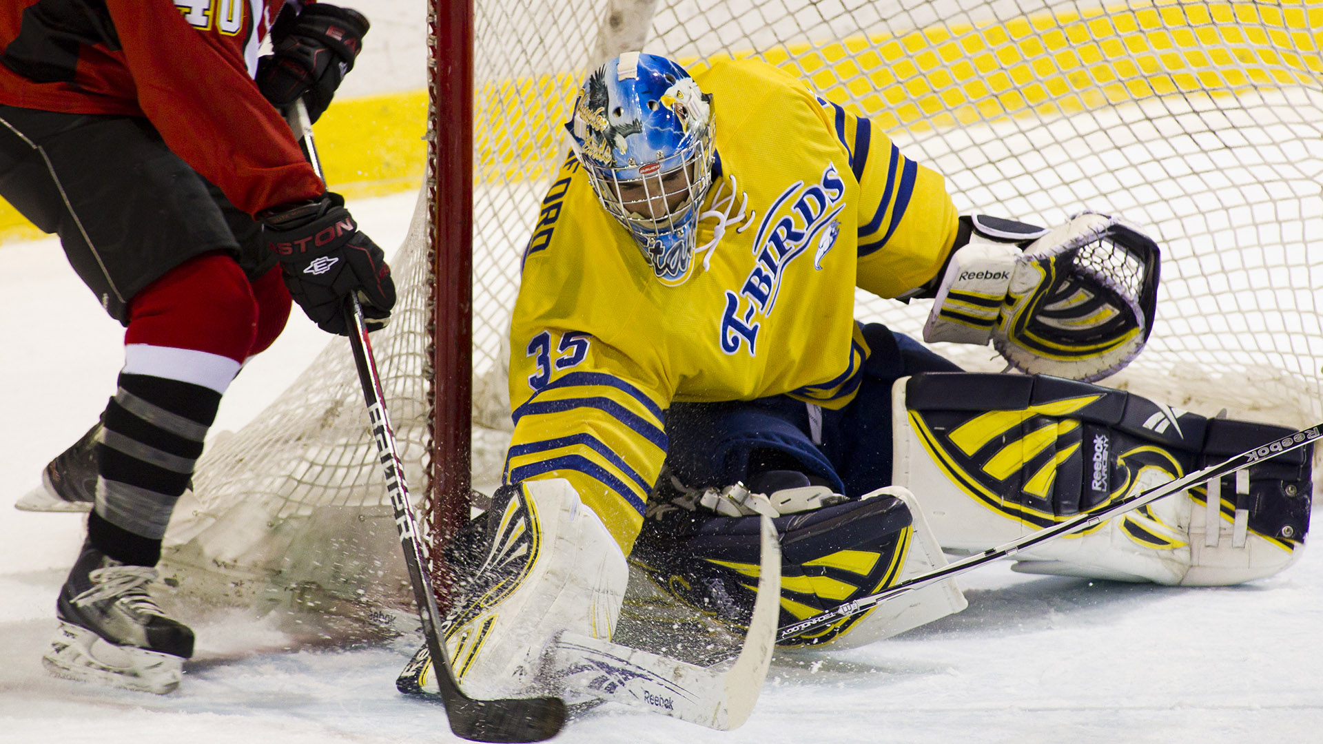 Steven Stanford - Men's Hockey - University of British Columbia Athletics