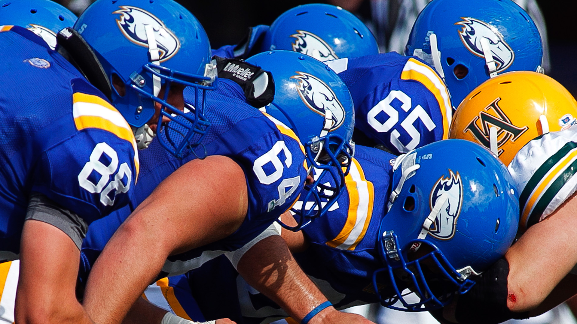 Kelly Kurisu - Football - University of British Columbia Athletics