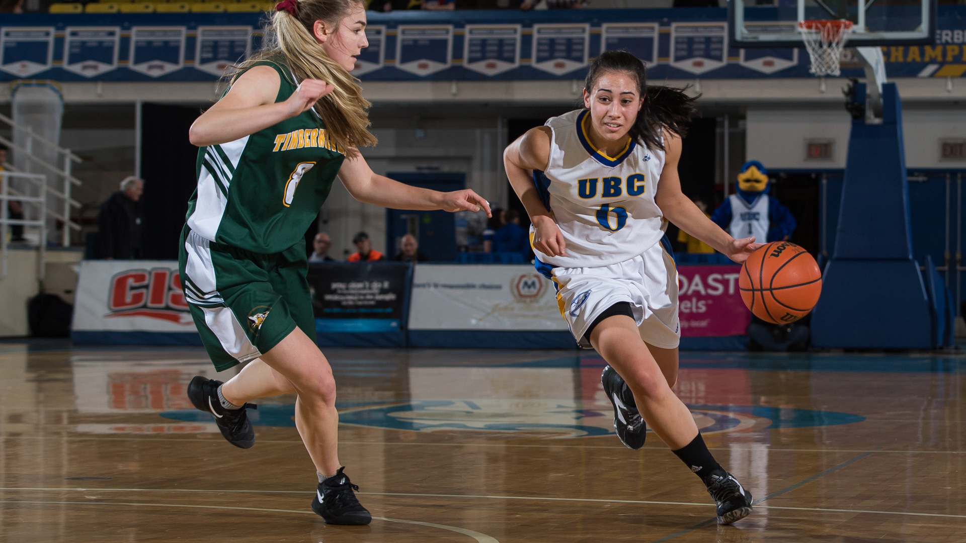 Ali Norris - Women's Basketball - University of British Columbia Athletics