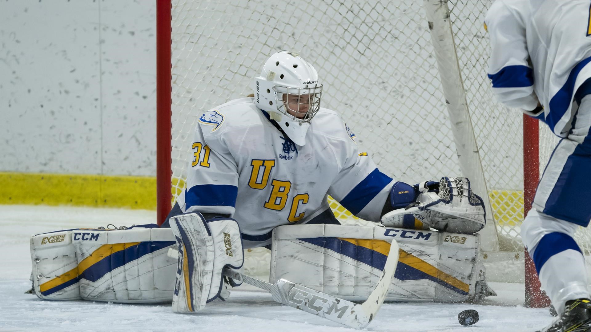 Micklash backstops 'Birds to 2-0 road win vs Pandas - University of ...