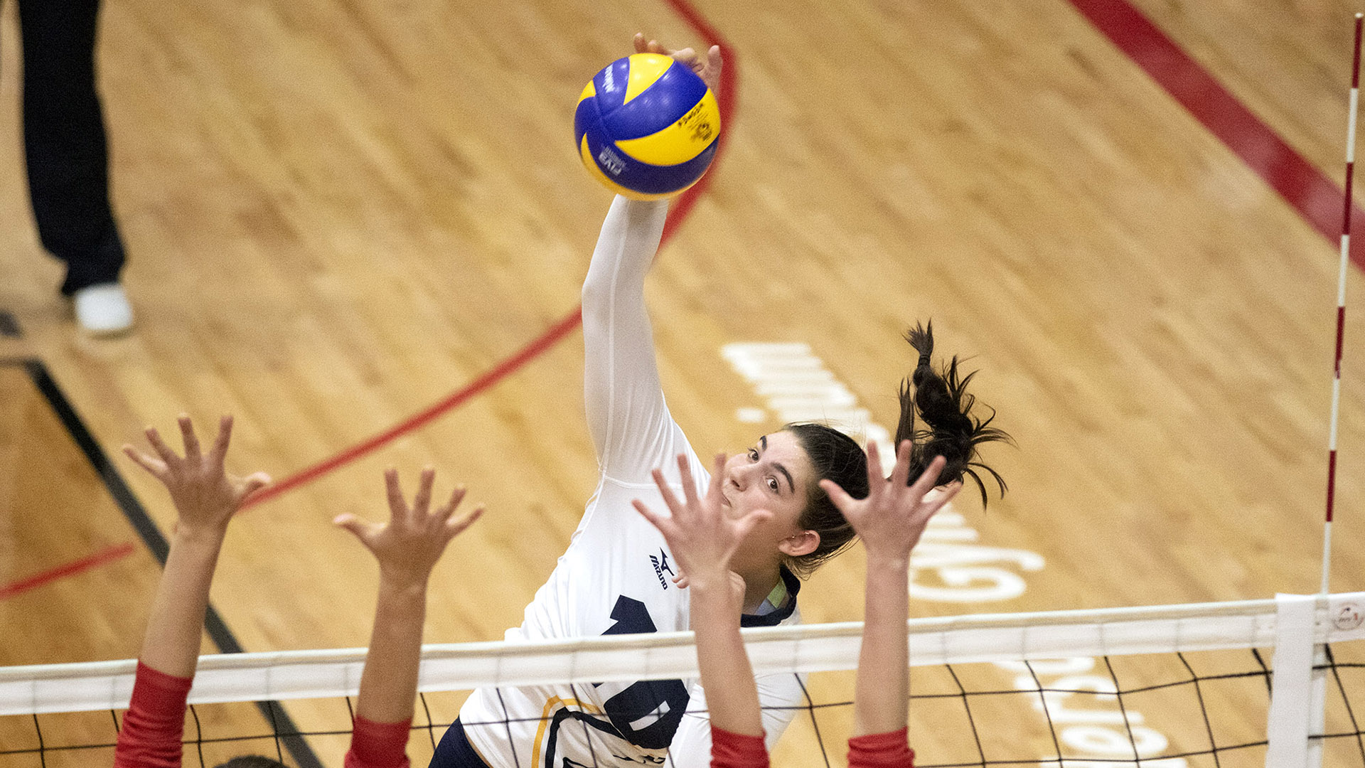 ‘Birds complete season opening sweep in Winnipeg - University of ...