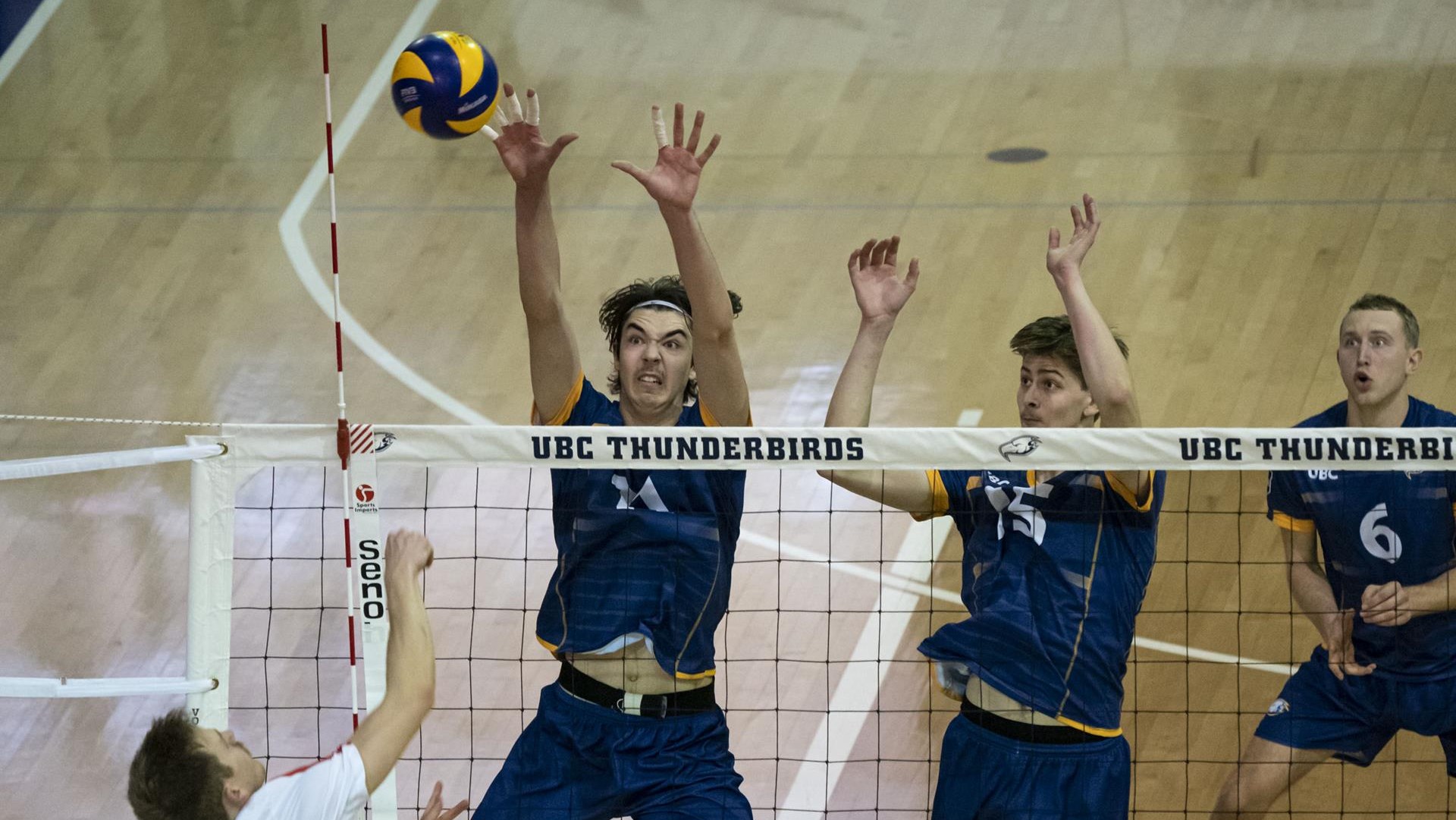 Gerard Murray - Men's Volleyball - University of British Columbia Athletics