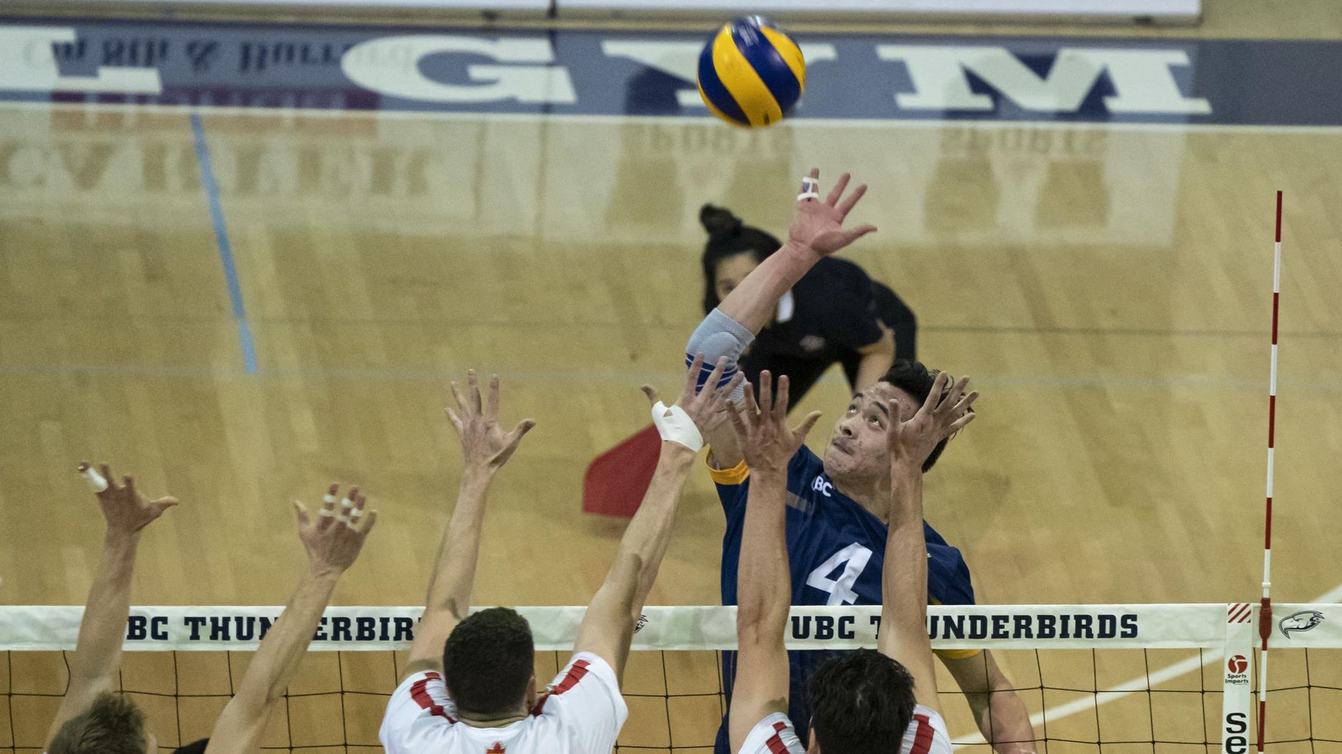 'Birds overpower Dinos in fourth straight victory - University of ...