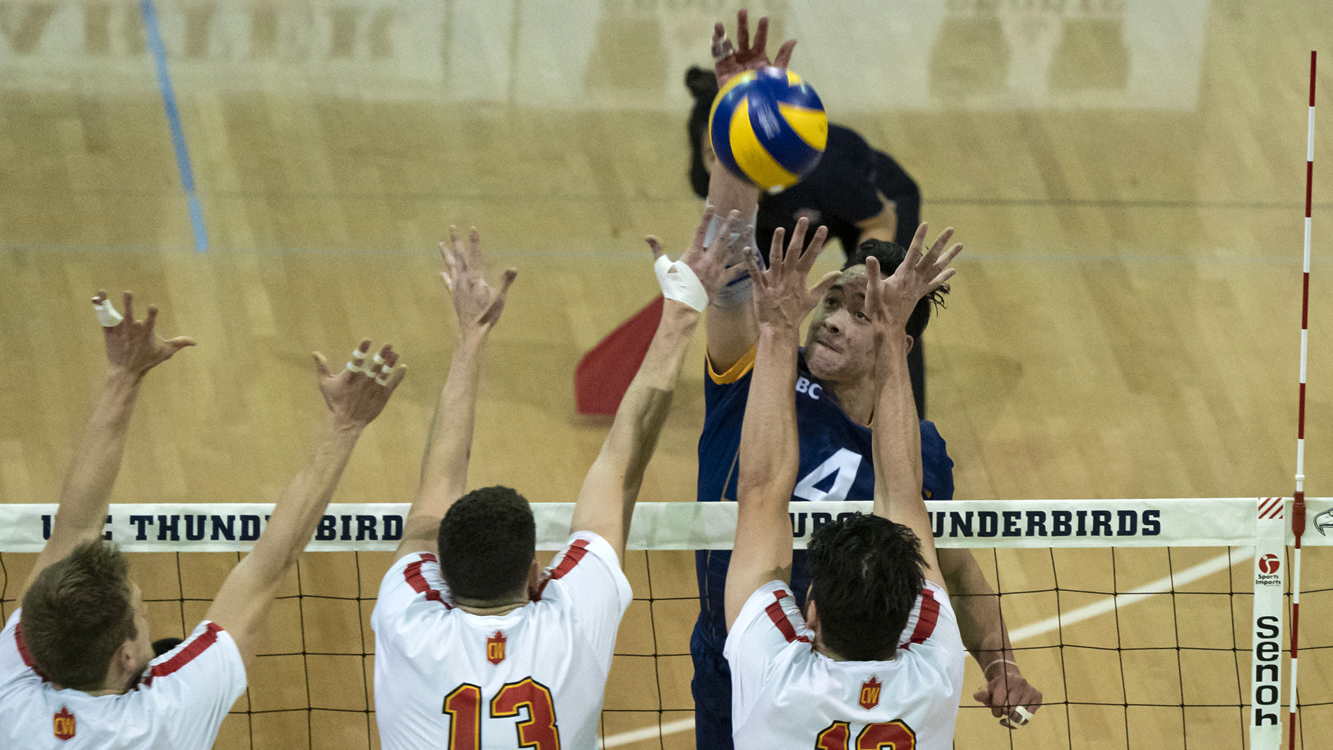 UBC men's volleyball completes sweep of Alberta in Edmonton ...