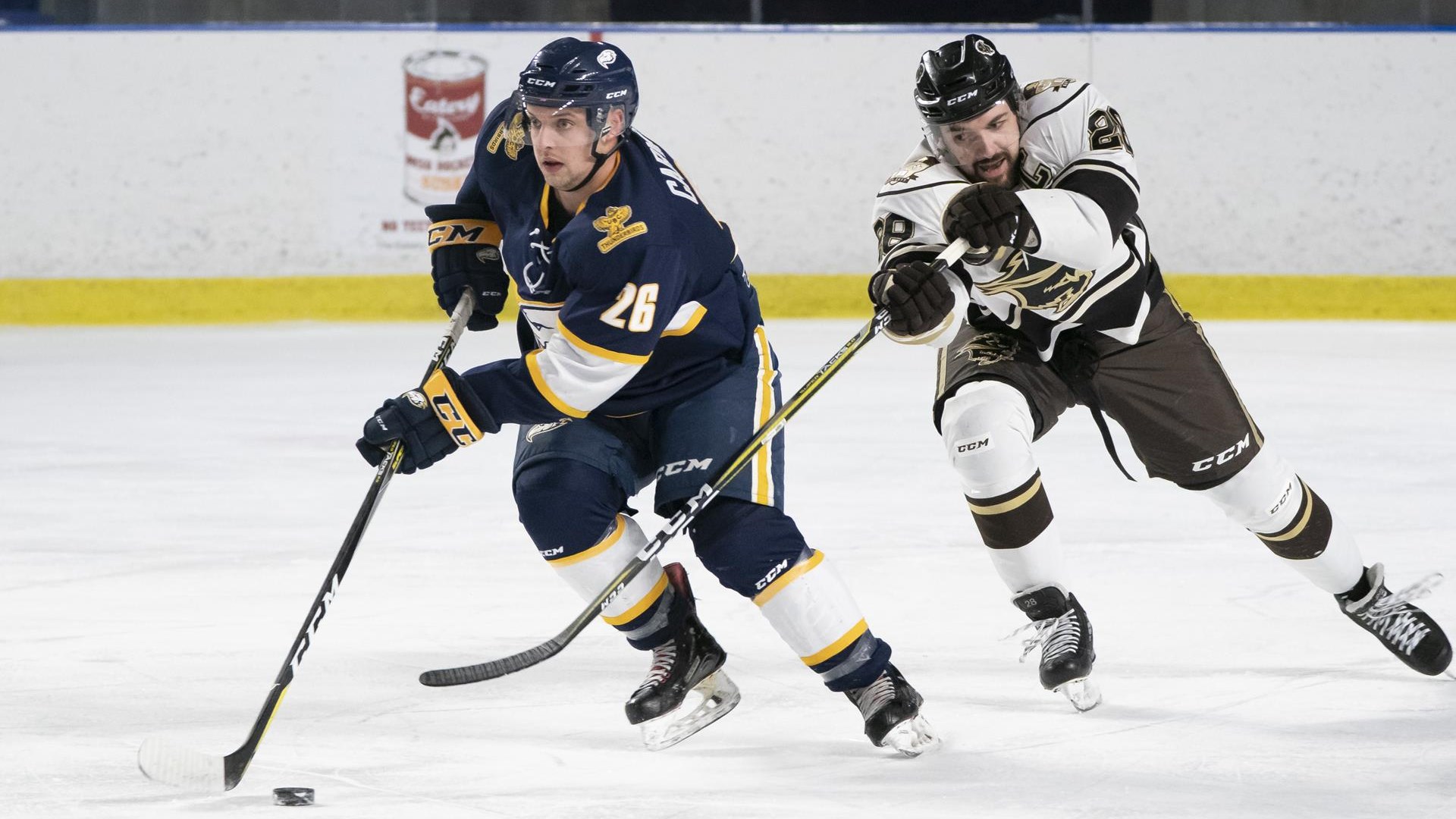 Joe Carvalho - Men's Hockey - University of British Columbia Athletics