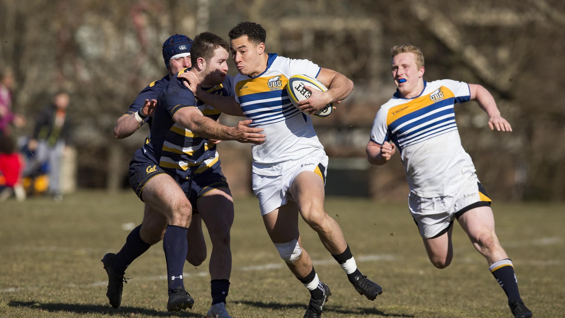 Elias Ergas - Men's Rugby - University of British Columbia Athletics