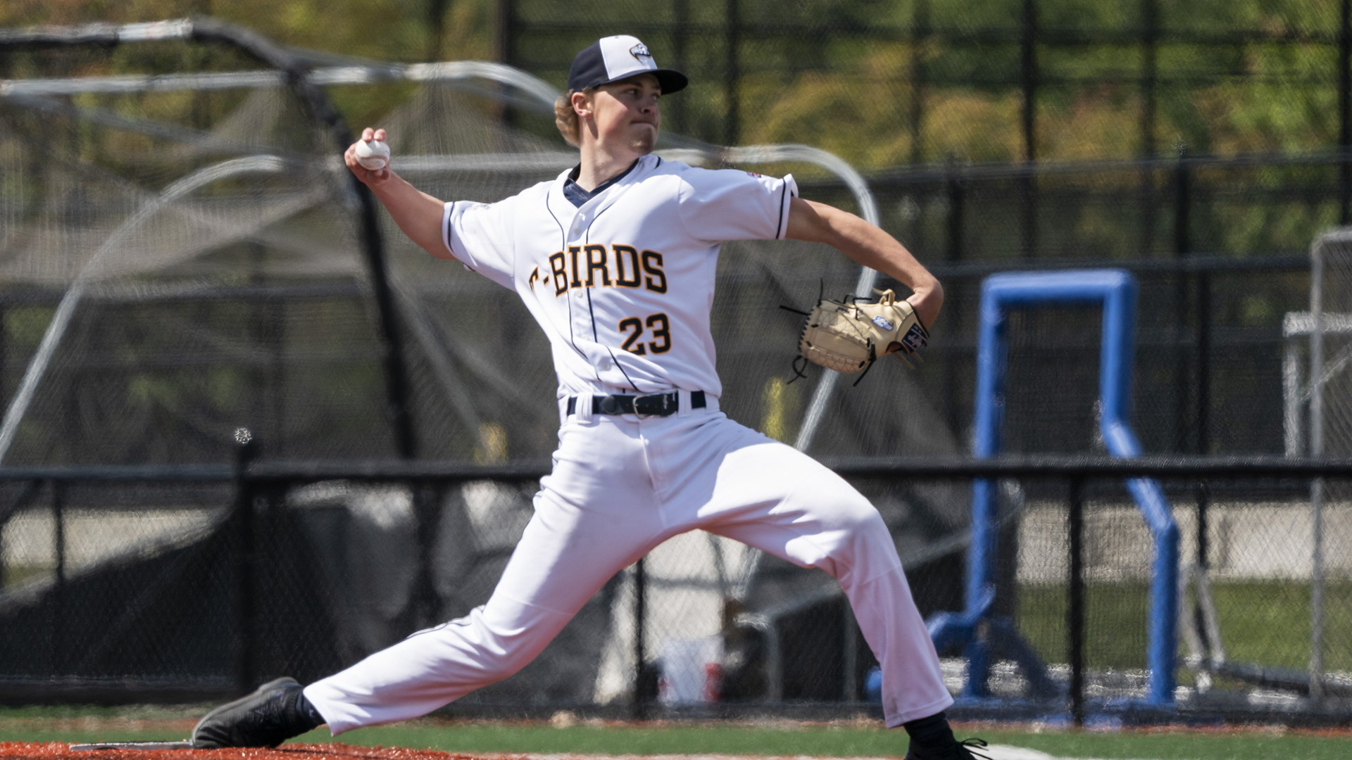 Brendan Logan - Baseball - University of British Columbia Athletics