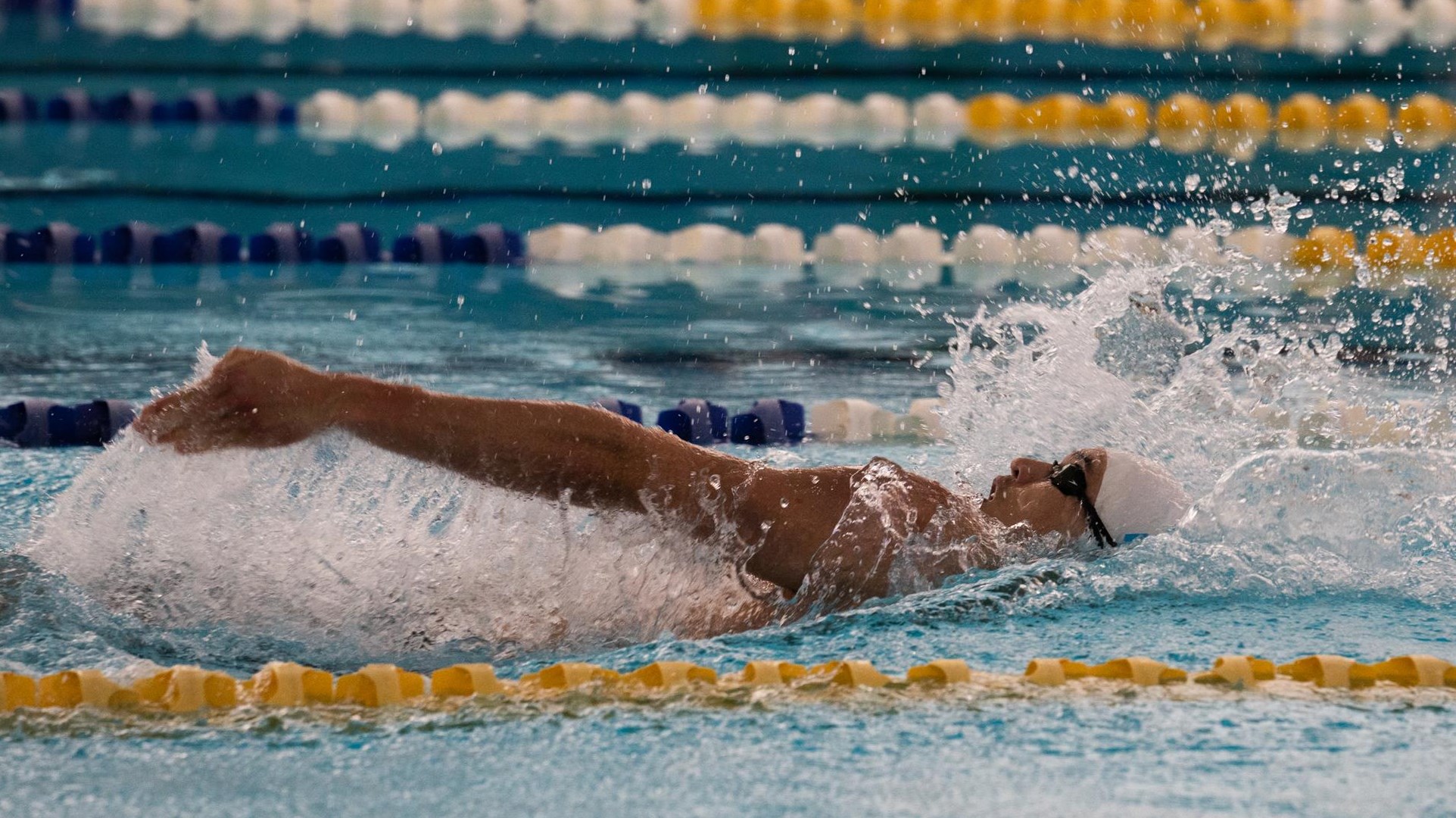 Markus Thormeyer - Swimming - University of British Columbia Athletics