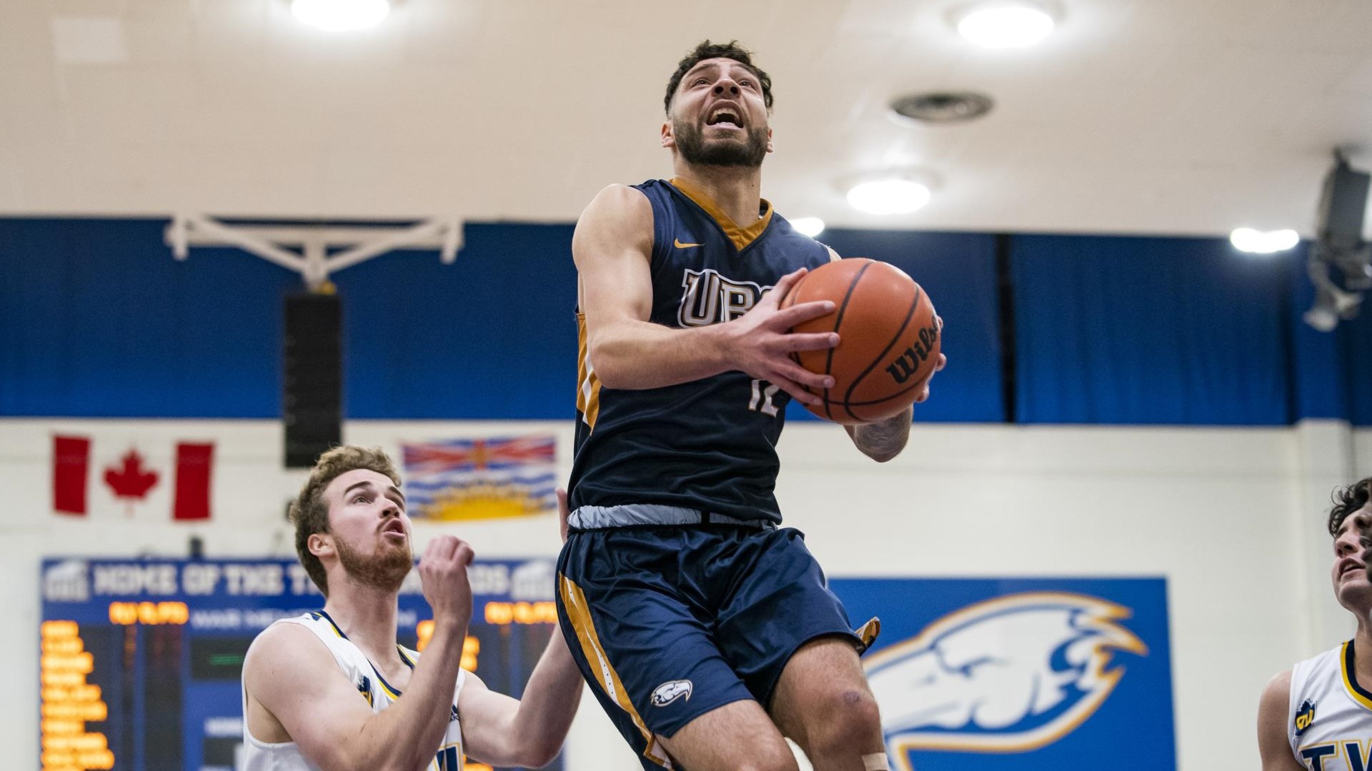 Jadon Cohee - Men's Basketball - University of British Columbia Athletics