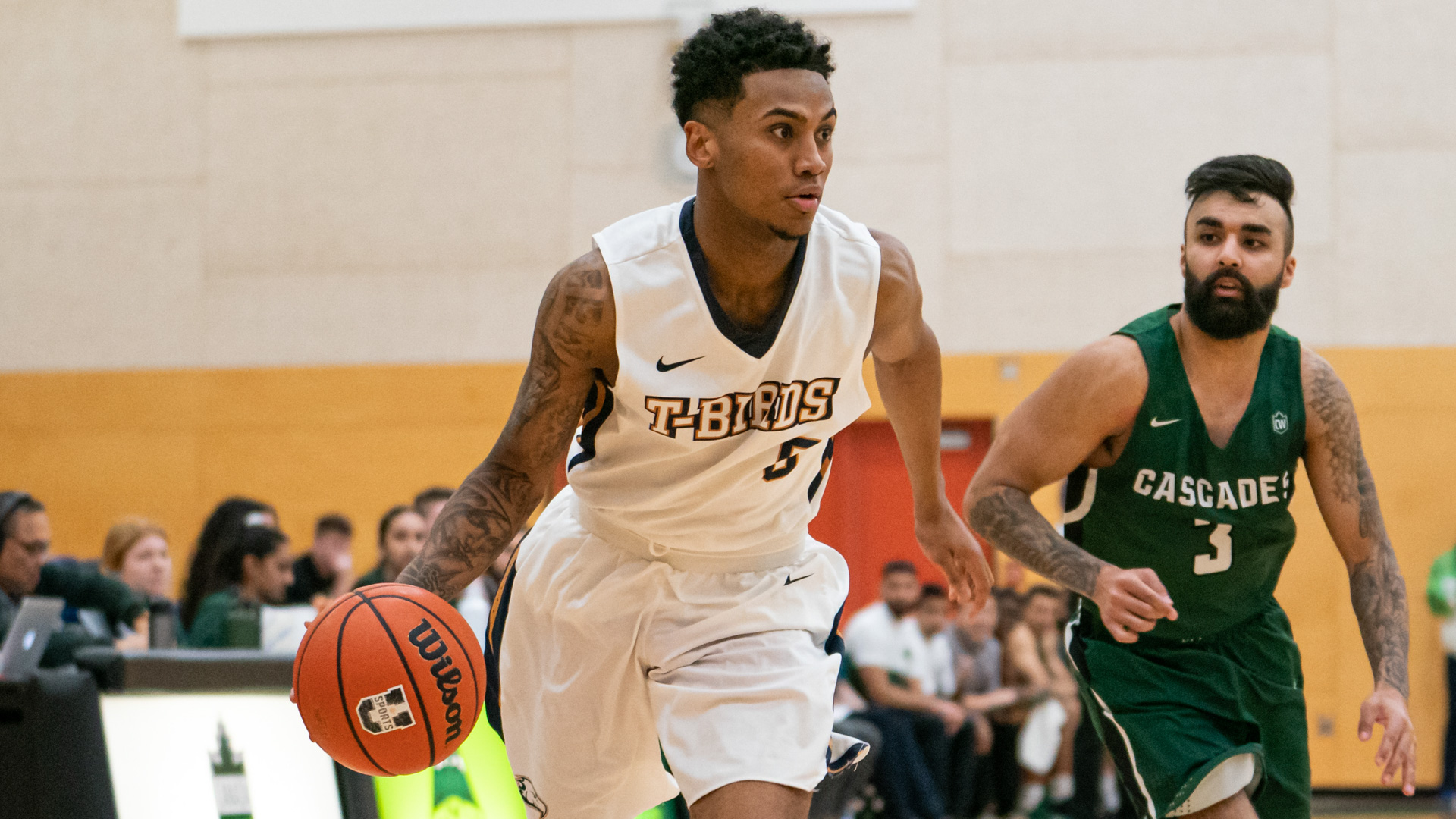 Taylor Browne - Men's Basketball - University of British Columbia Athletics