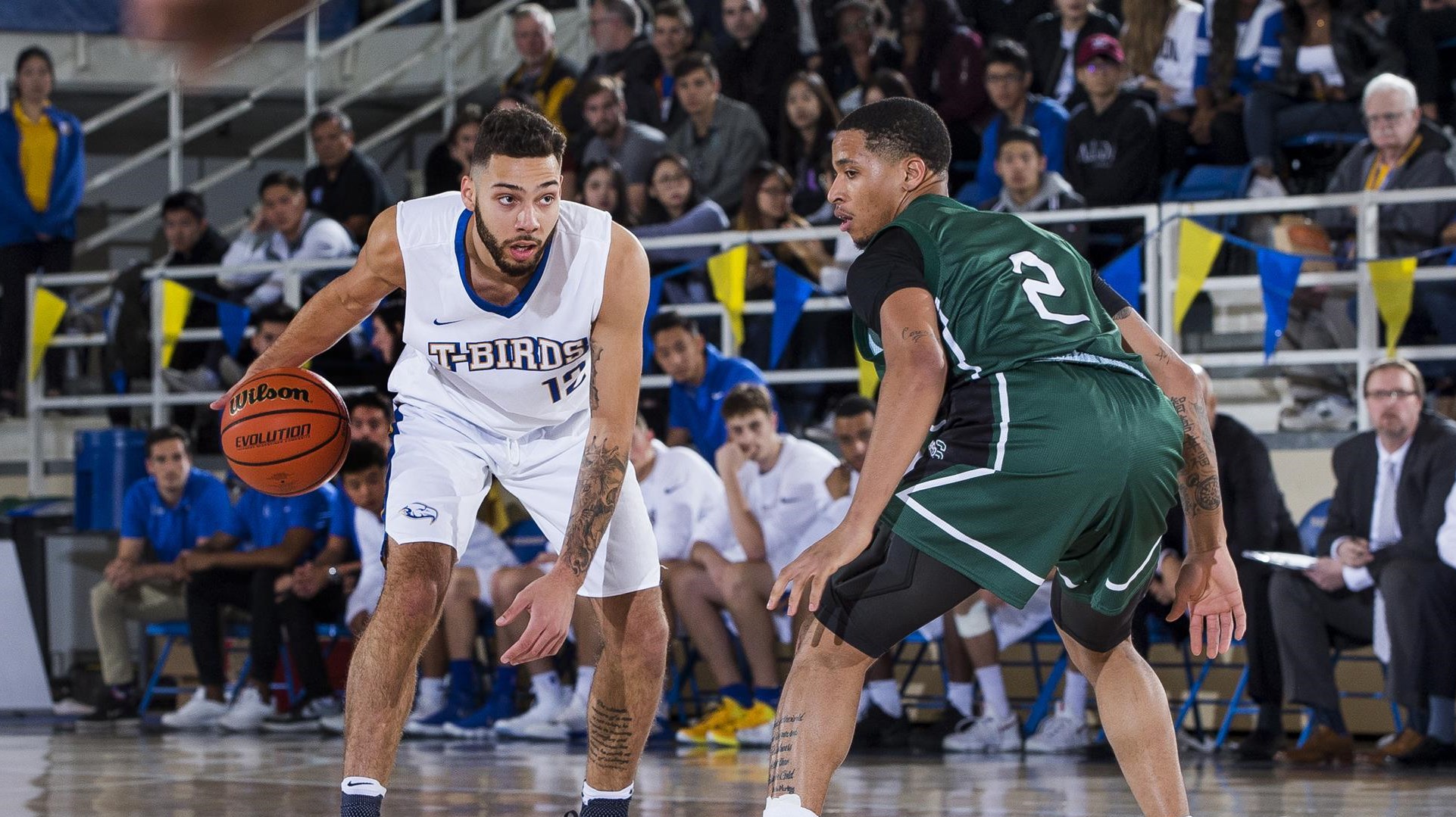 Jadon Cohee - Men's Basketball - University of British Columbia Athletics