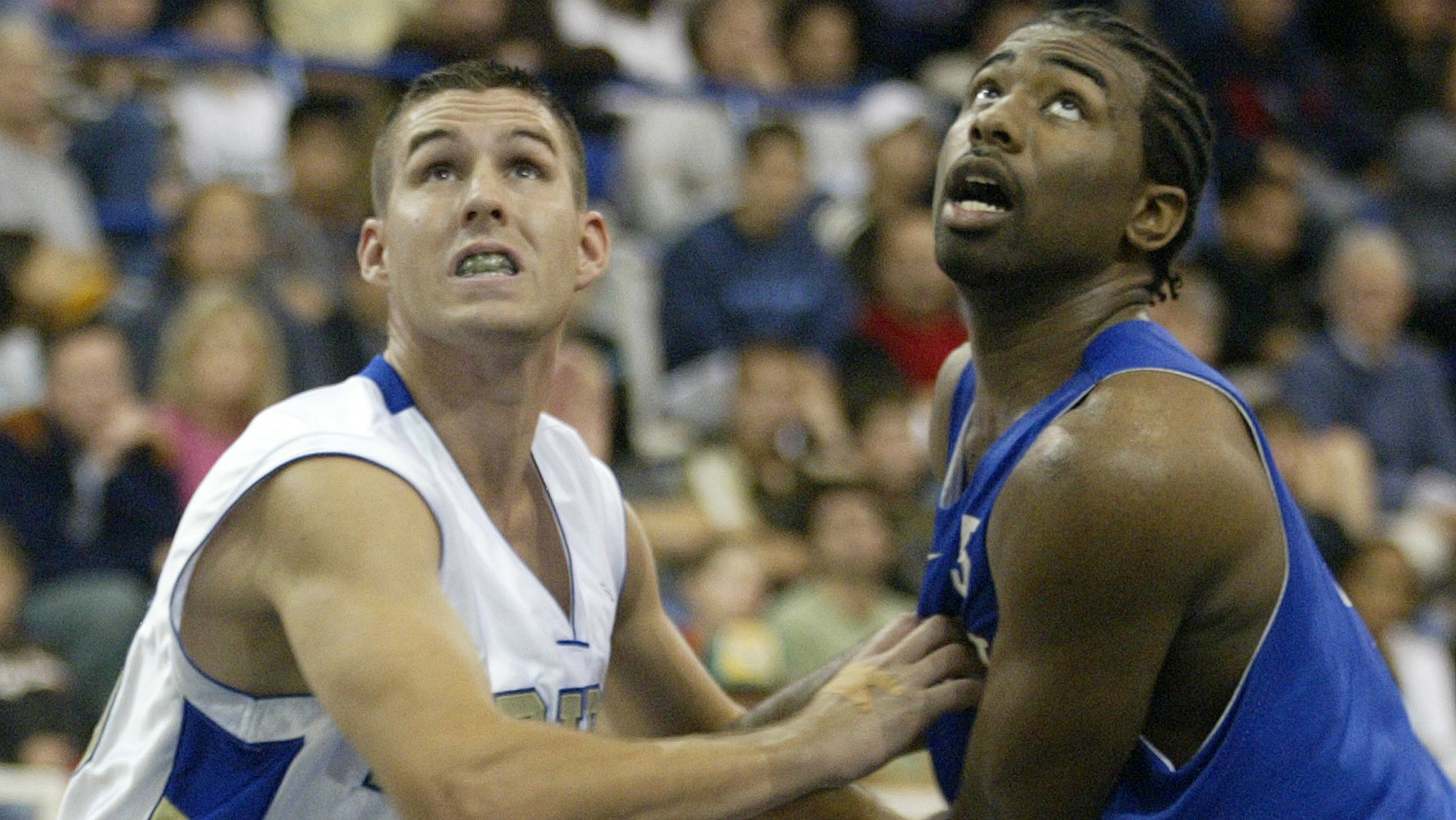 Neil Morrison - Men's Basketball - University of British Columbia Athletics