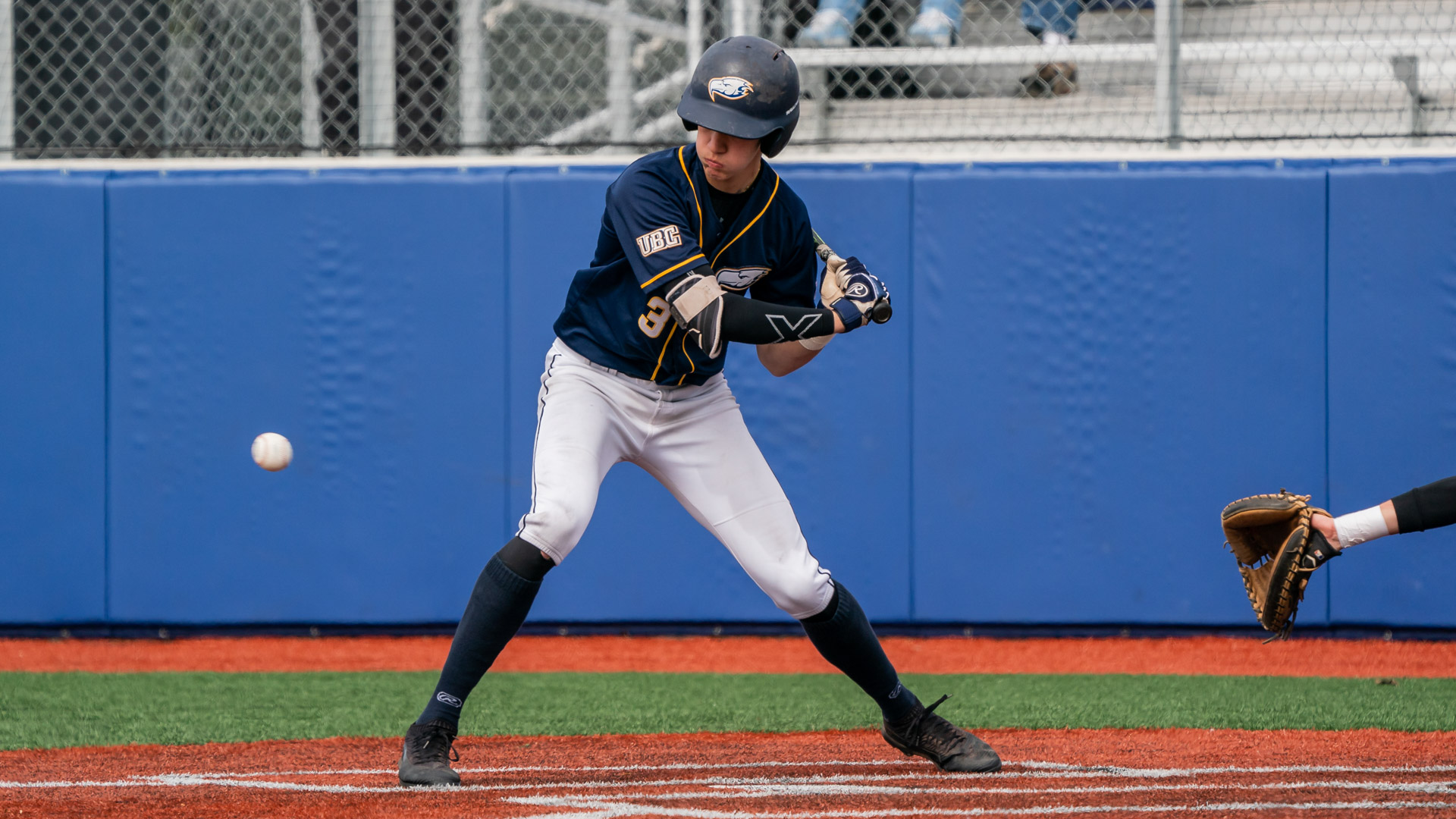 Ty Penner - Baseball - University of British Columbia Athletics