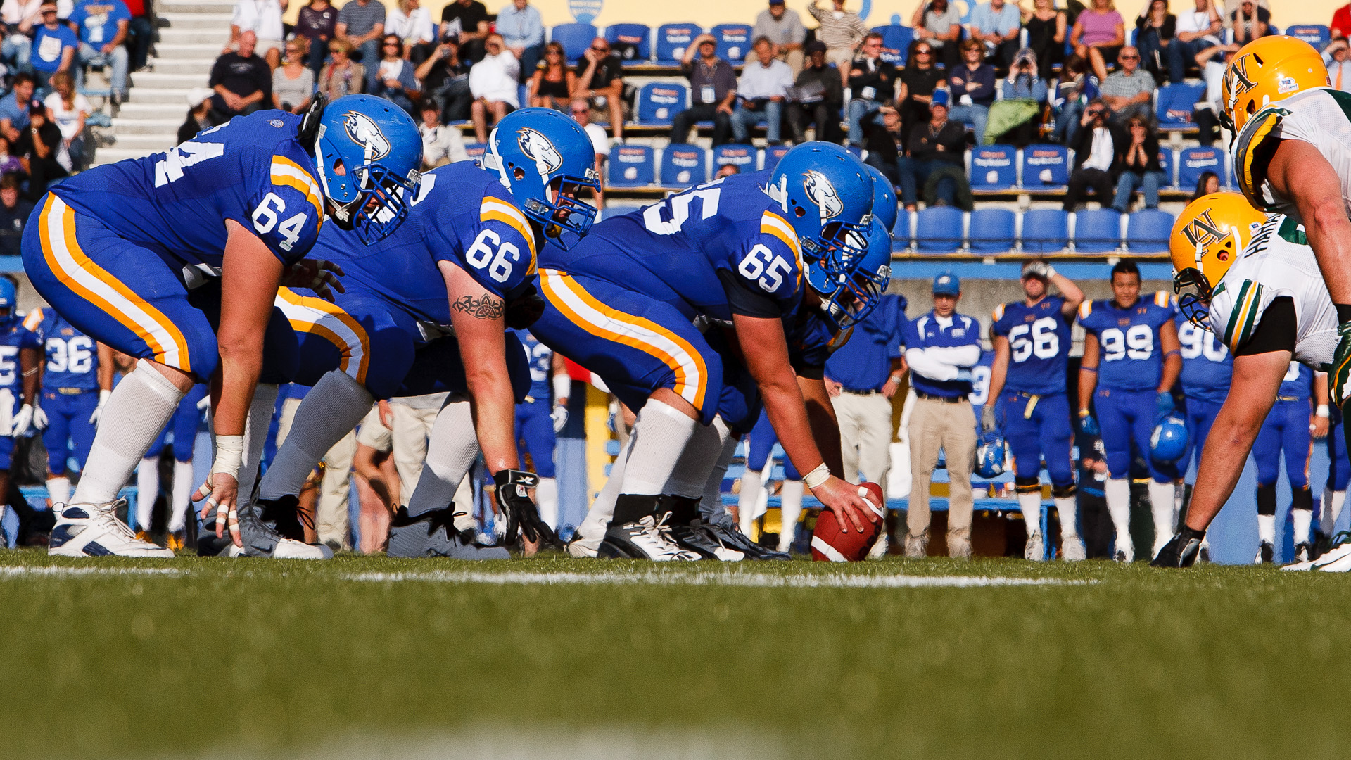 Kelly Kurisu - Football - University of British Columbia Athletics