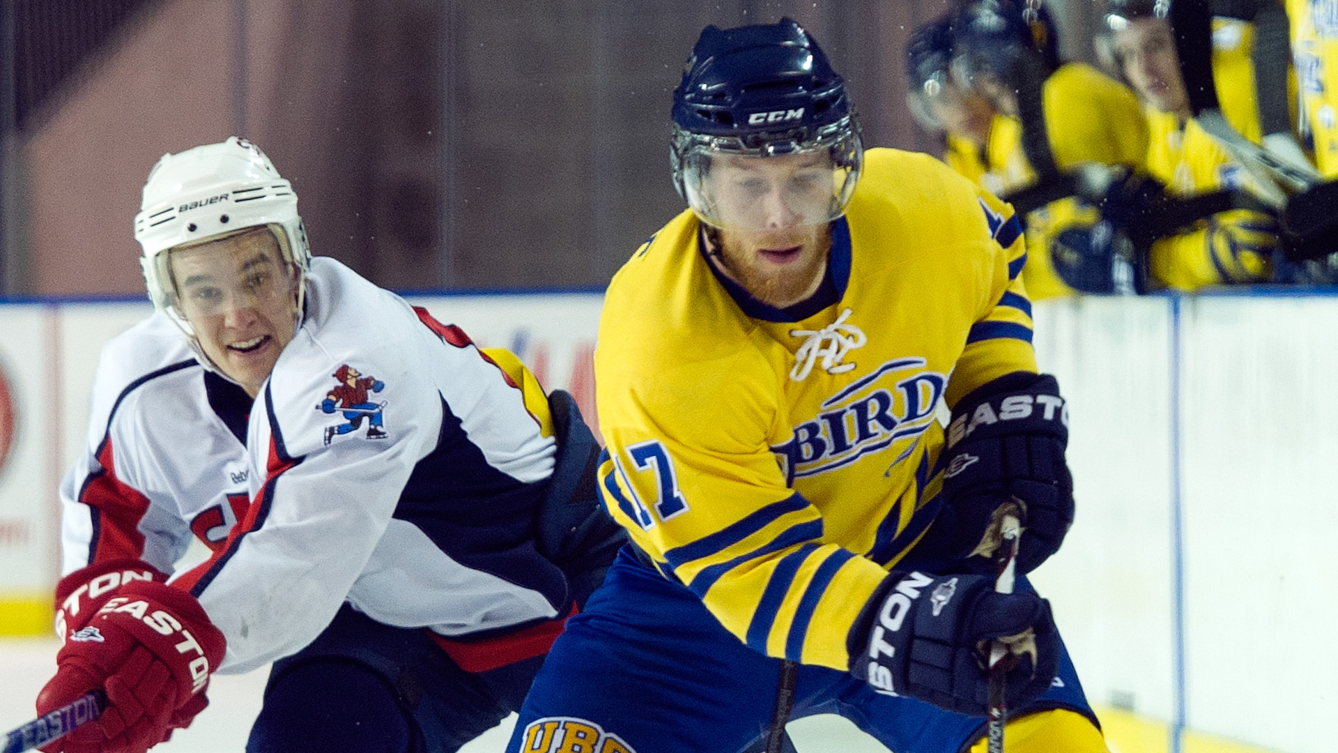 Jordan Inglis - Men's Hockey - University of British Columbia Athletics