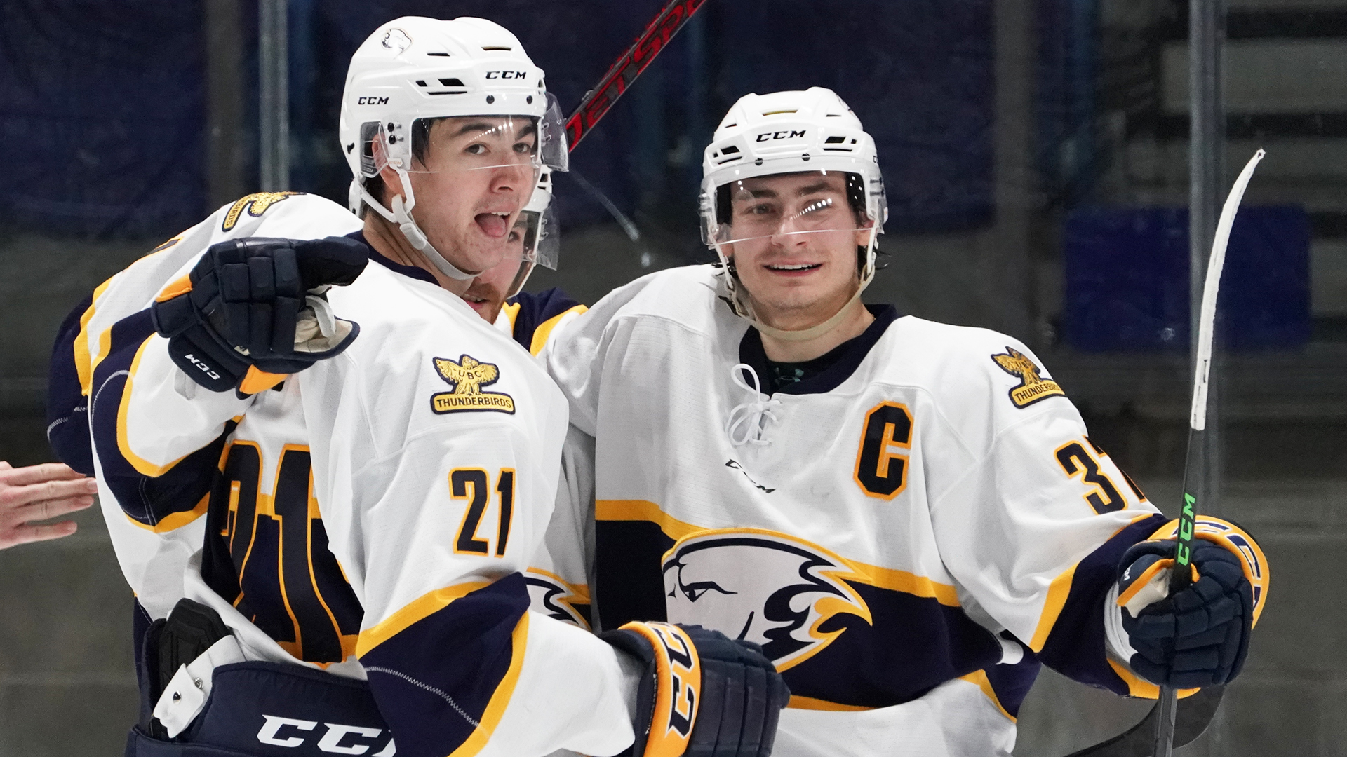 ‘Birds back in win column after feisty affair with Griffins ...