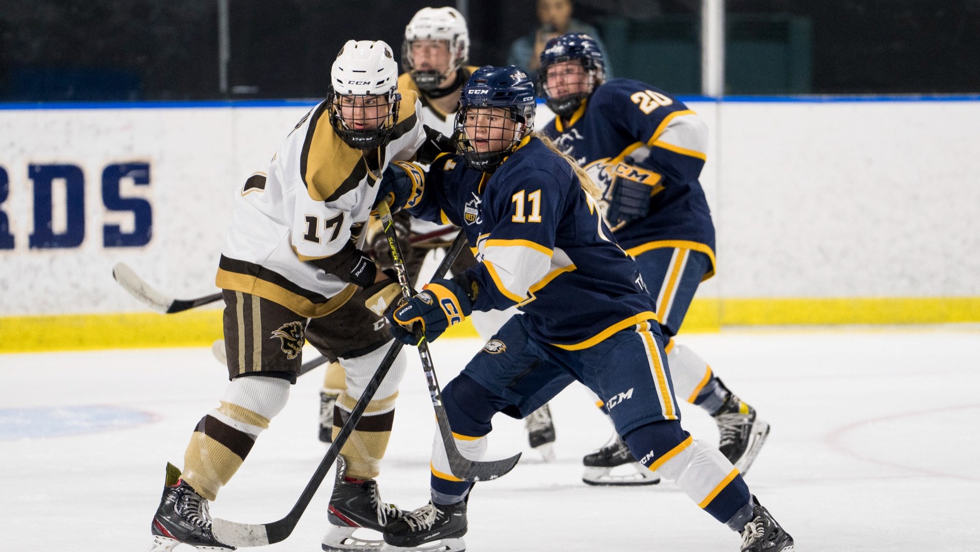 T-Birds earn weekend sweep vs Bisons - University of British Columbia ...