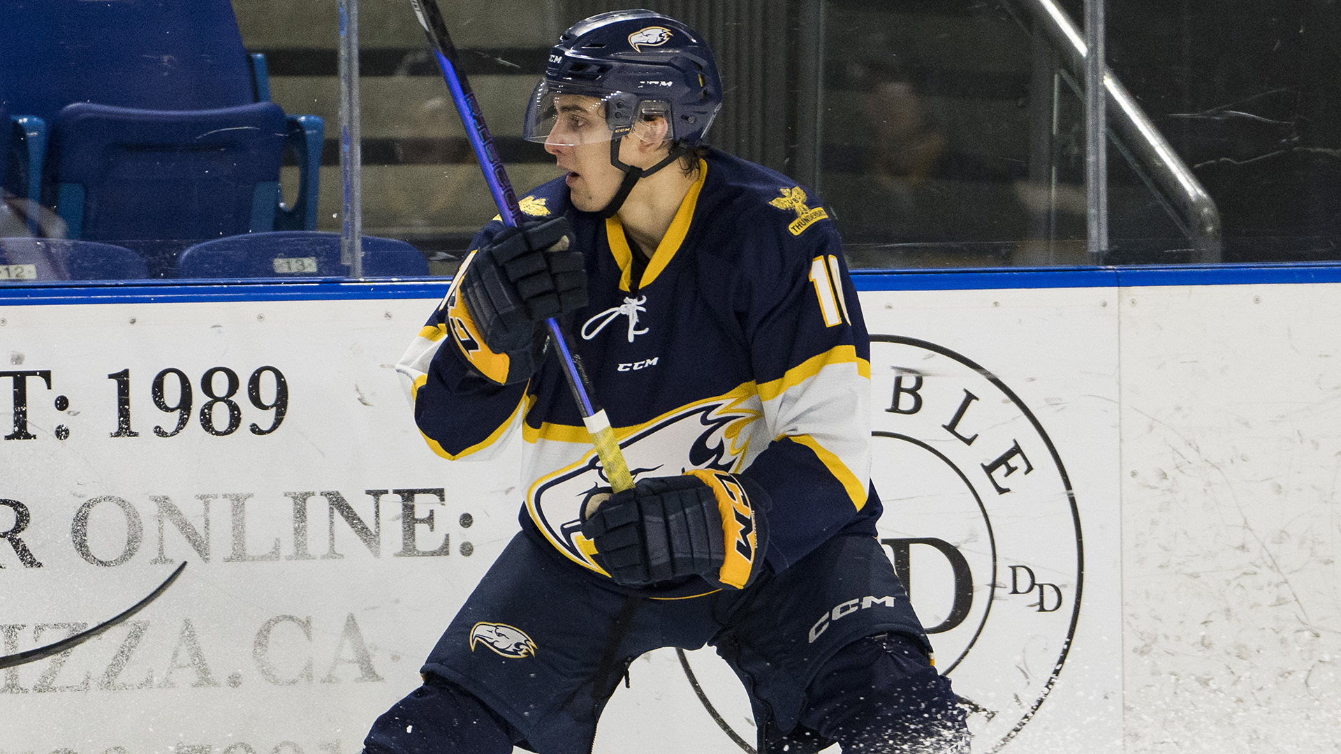 Bears storm back for weekend split with T-Birds in Edmonton ...